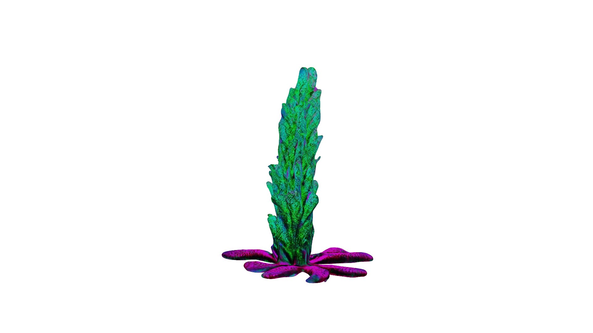 Seaweed 3D Model - TurboSquid 2221423
