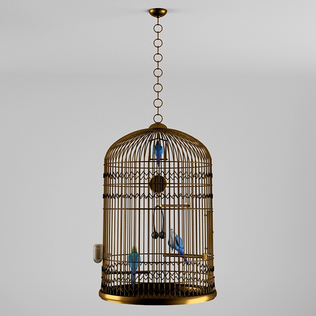 3d max cage parrot rat