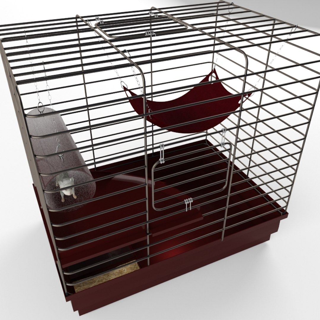 3d max cage parrot rat