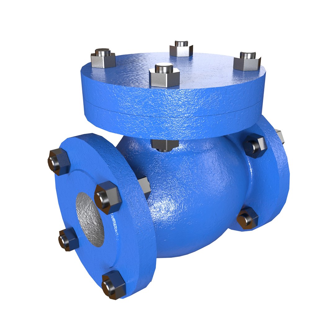 3D Check Valve model - TurboSquid 1832215