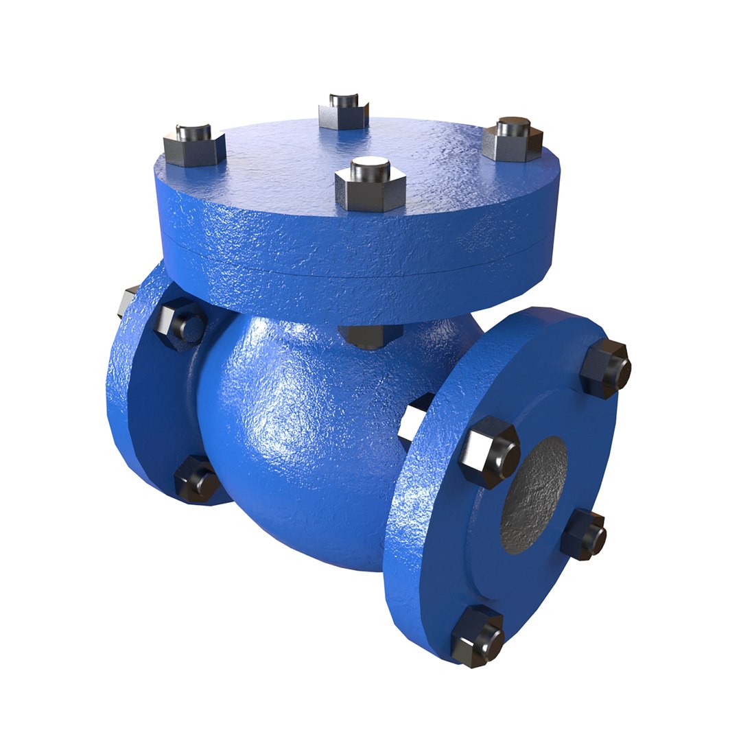 3D Check Valve model - TurboSquid 1832215