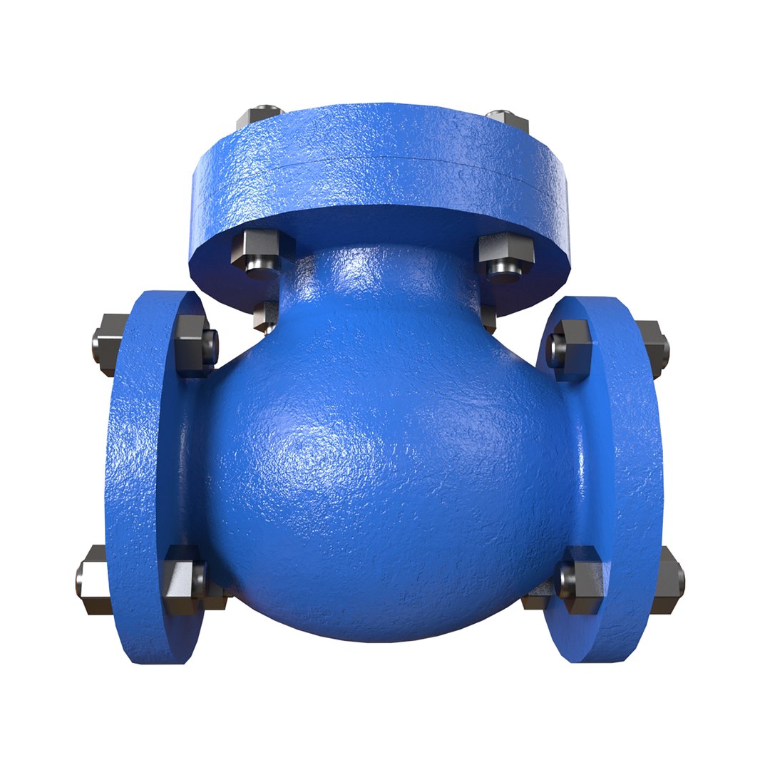 3D Check Valve model - TurboSquid 1832215