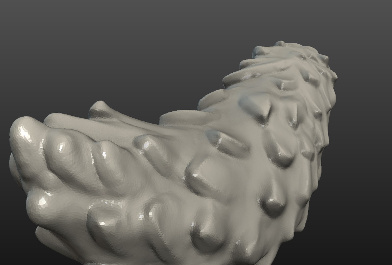 3D Wolf Tail Model - TurboSquid 1238663