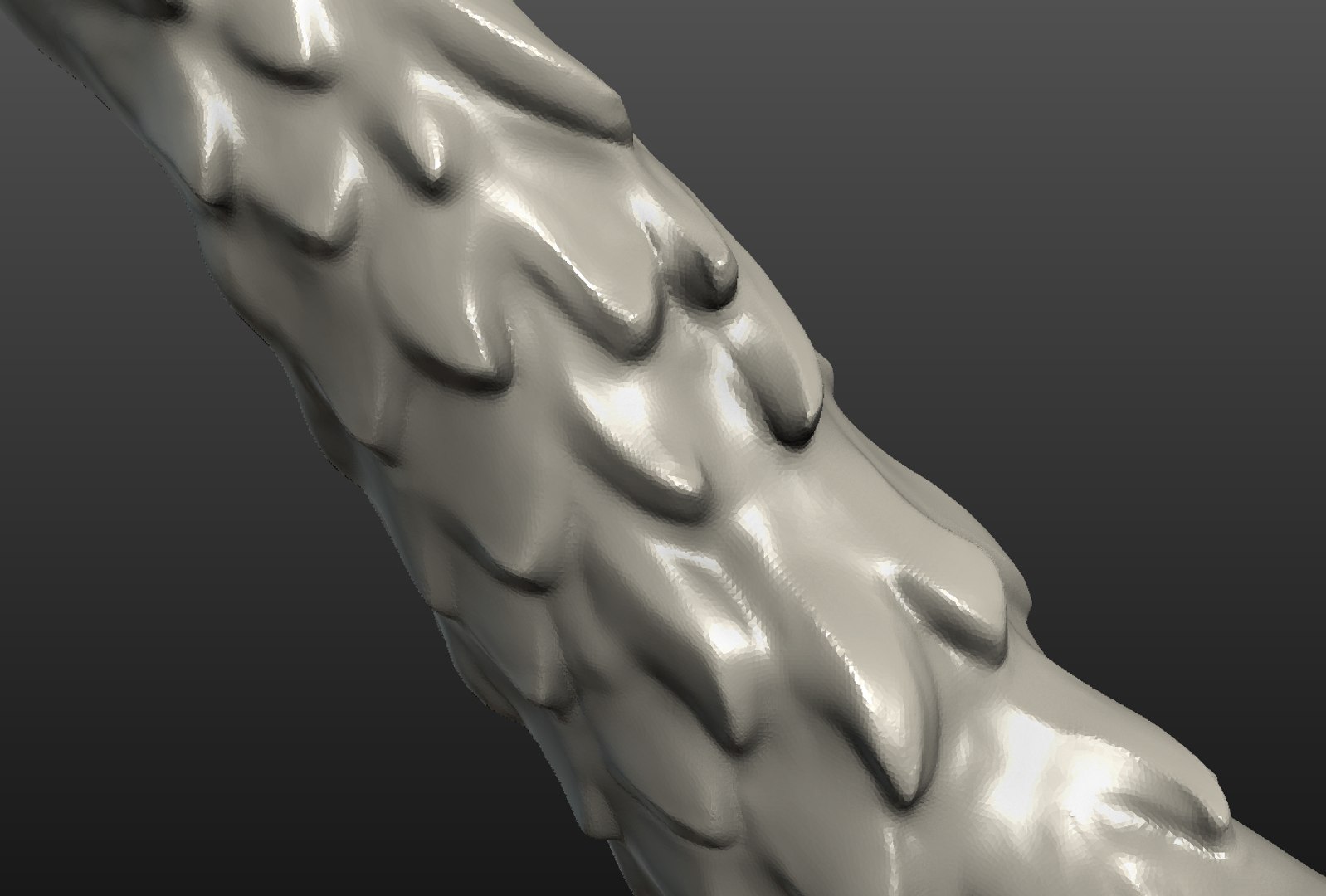 3D Wolf Tail Model - TurboSquid 1238663