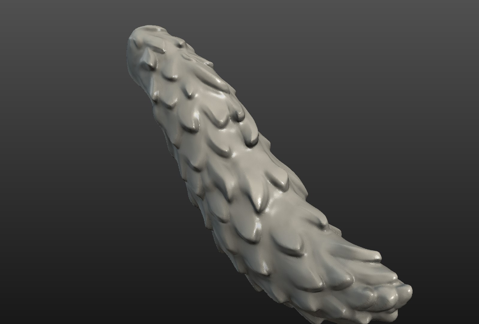 3D Wolf Tail Model - TurboSquid 1238663
