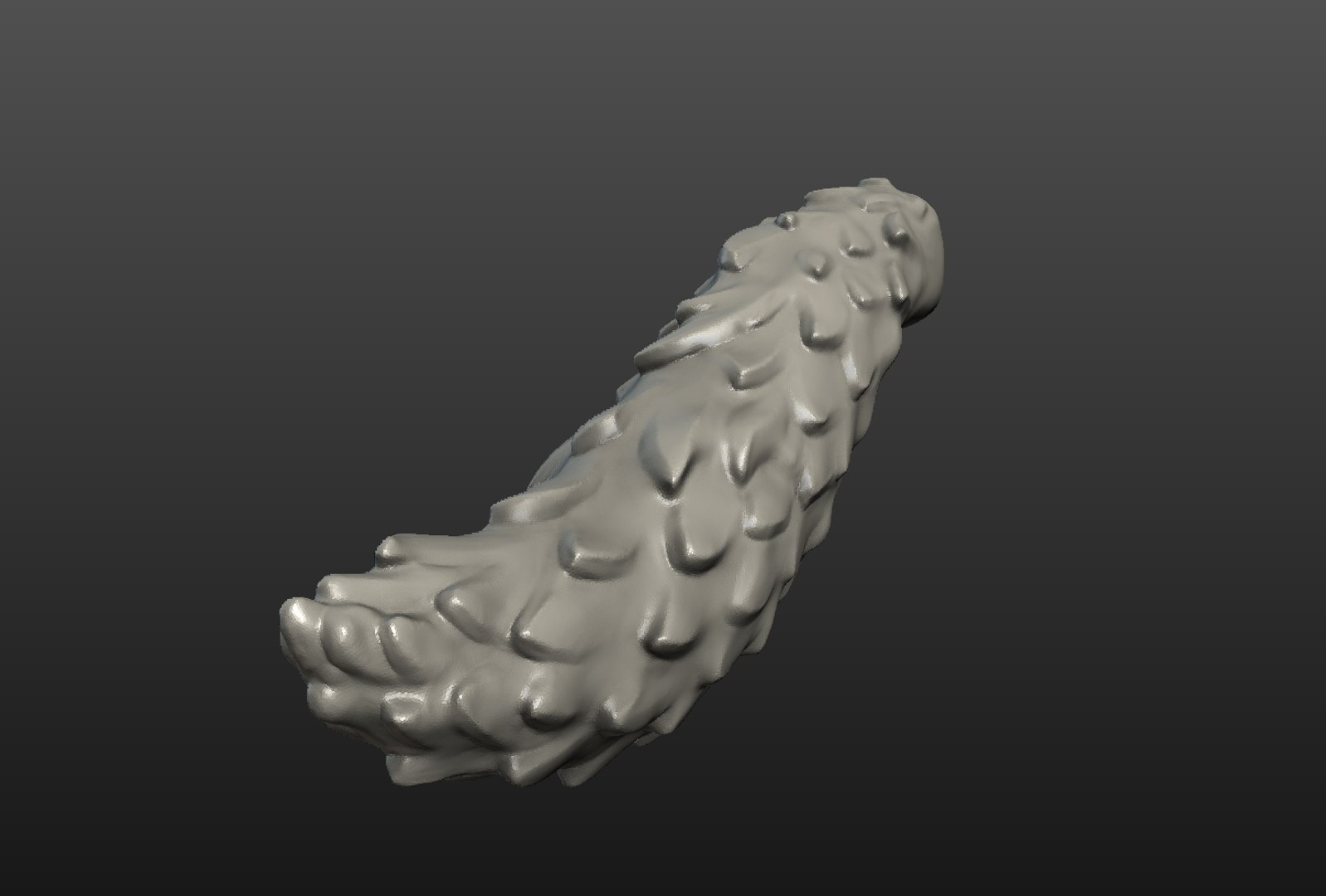 3D Wolf Tail Model - TurboSquid 1238663