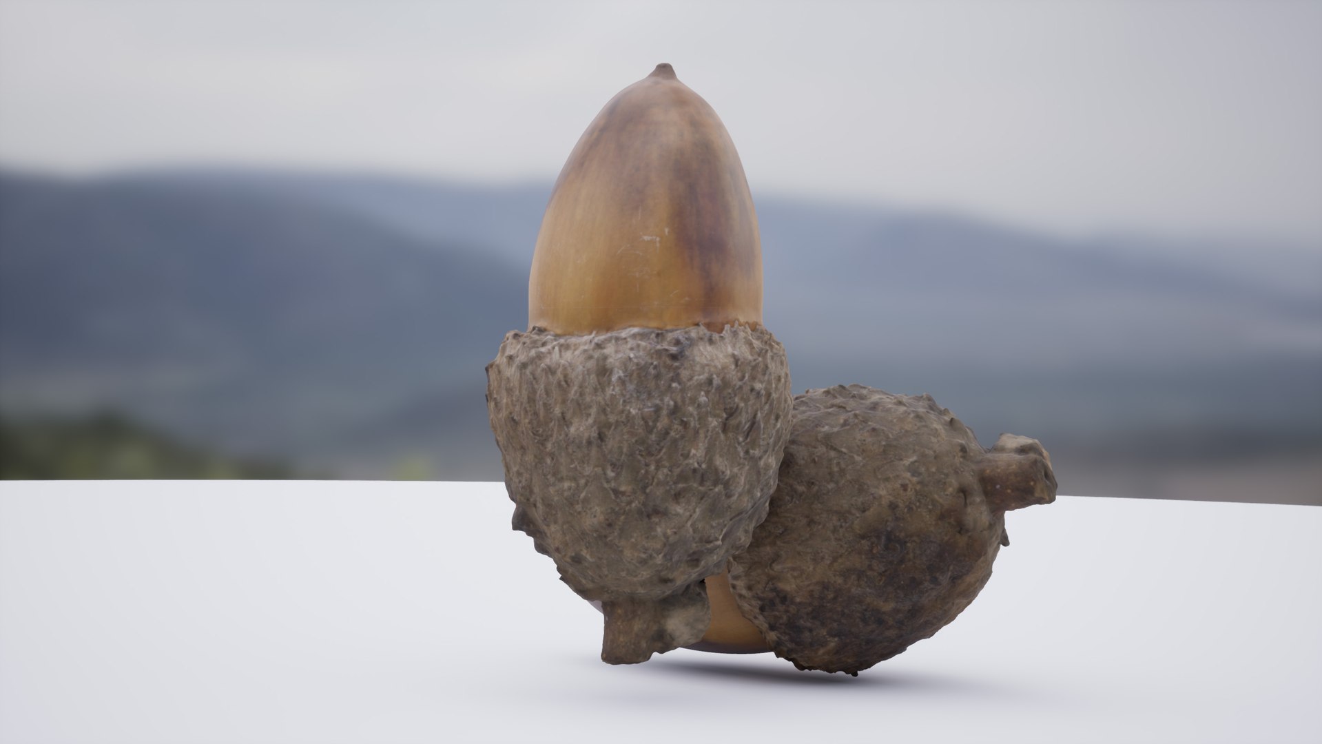 Acorn photoscanned model - TurboSquid 1344178