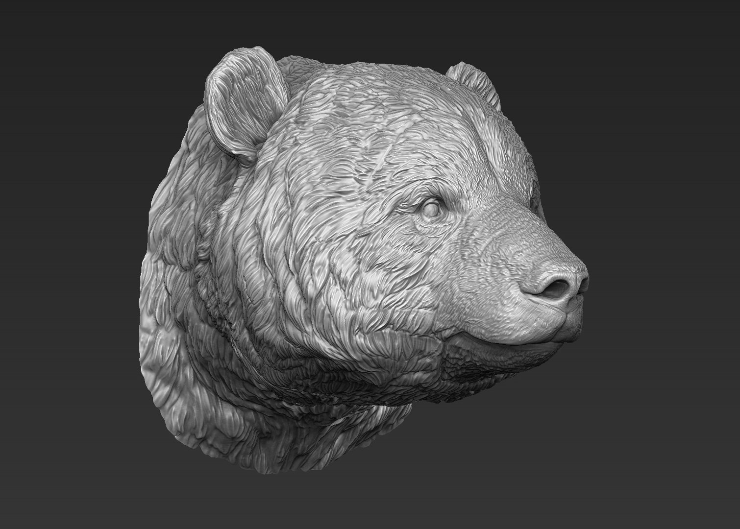 Panda Head Model - TurboSquid 1291213