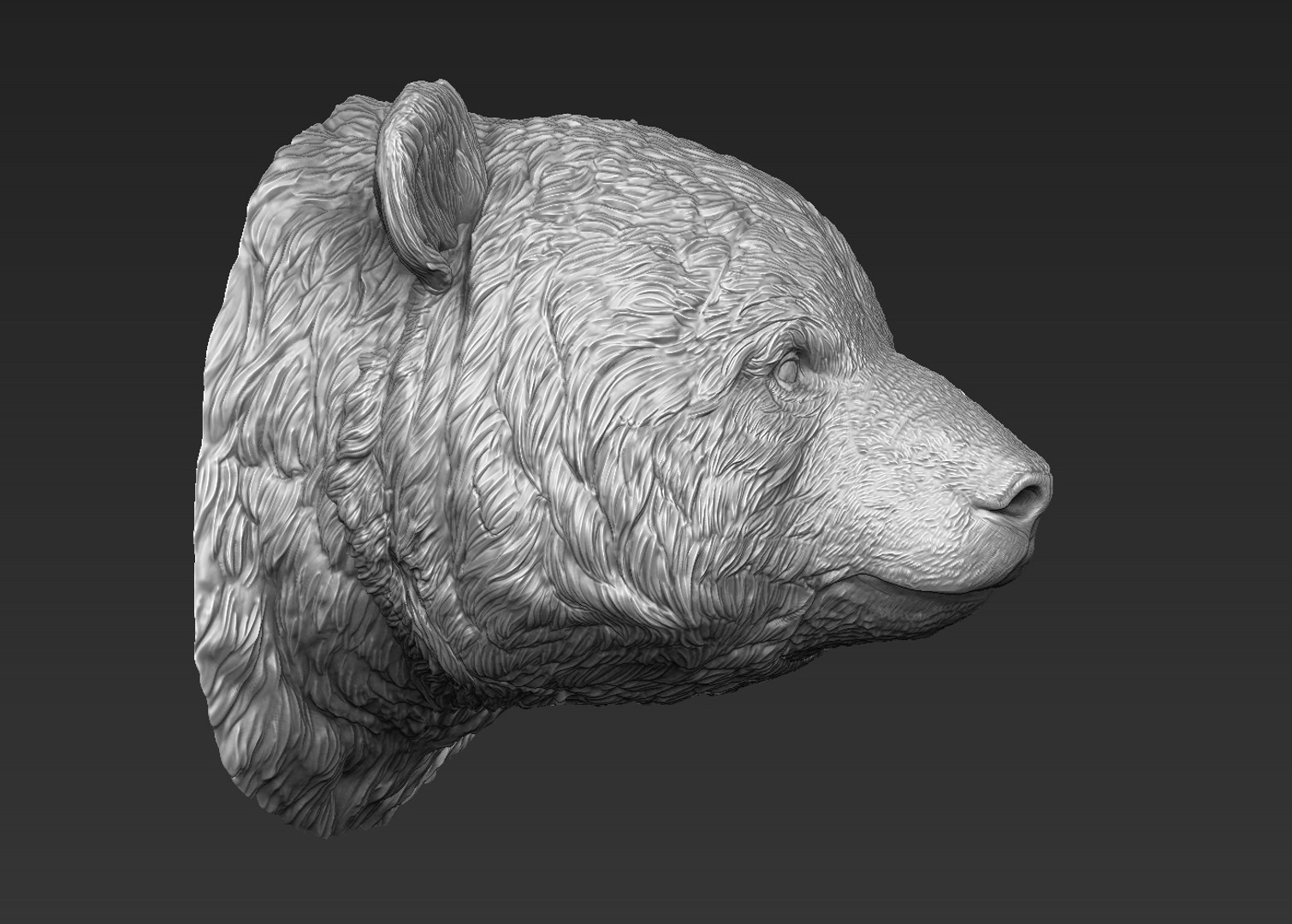 Panda head model - TurboSquid 1291213
