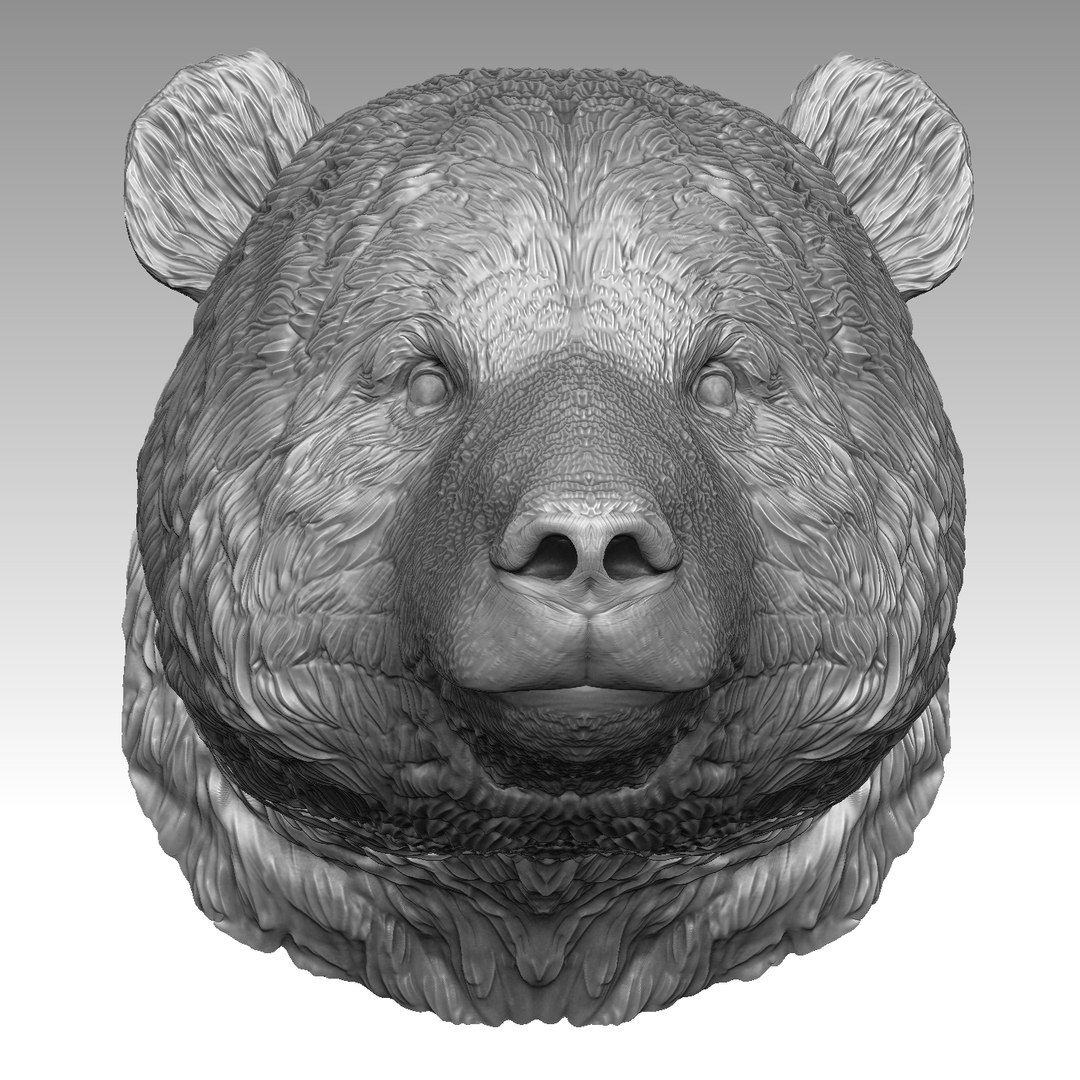 Panda head model - TurboSquid 1291213