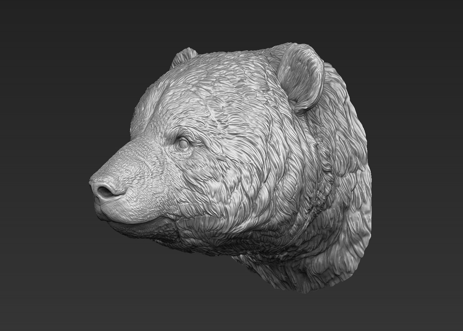 Panda Head Model - TurboSquid 1291213