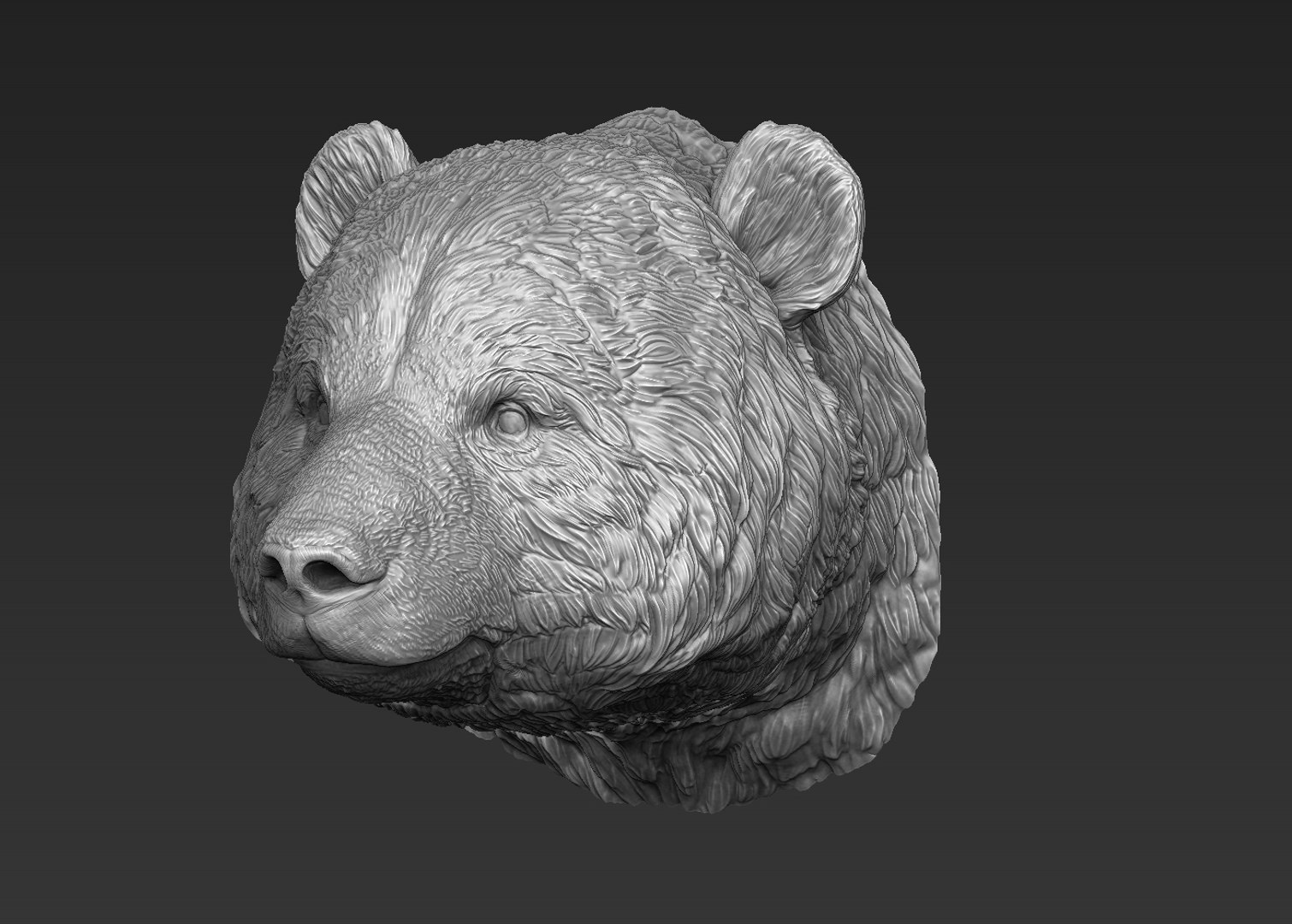 Panda Head Model - TurboSquid 1291213