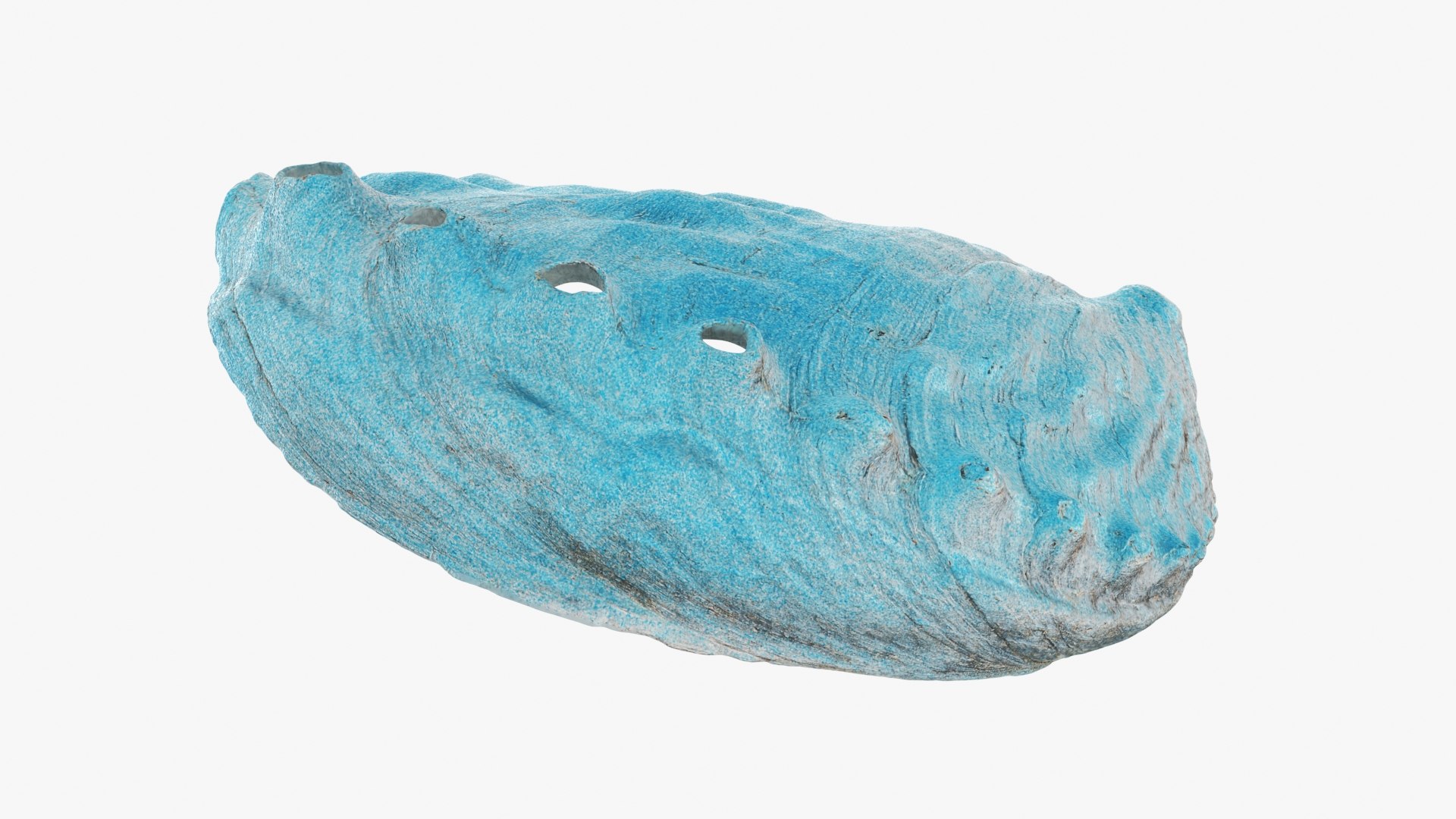 3D Blue Abalone Shell - TurboSquid 2324007
