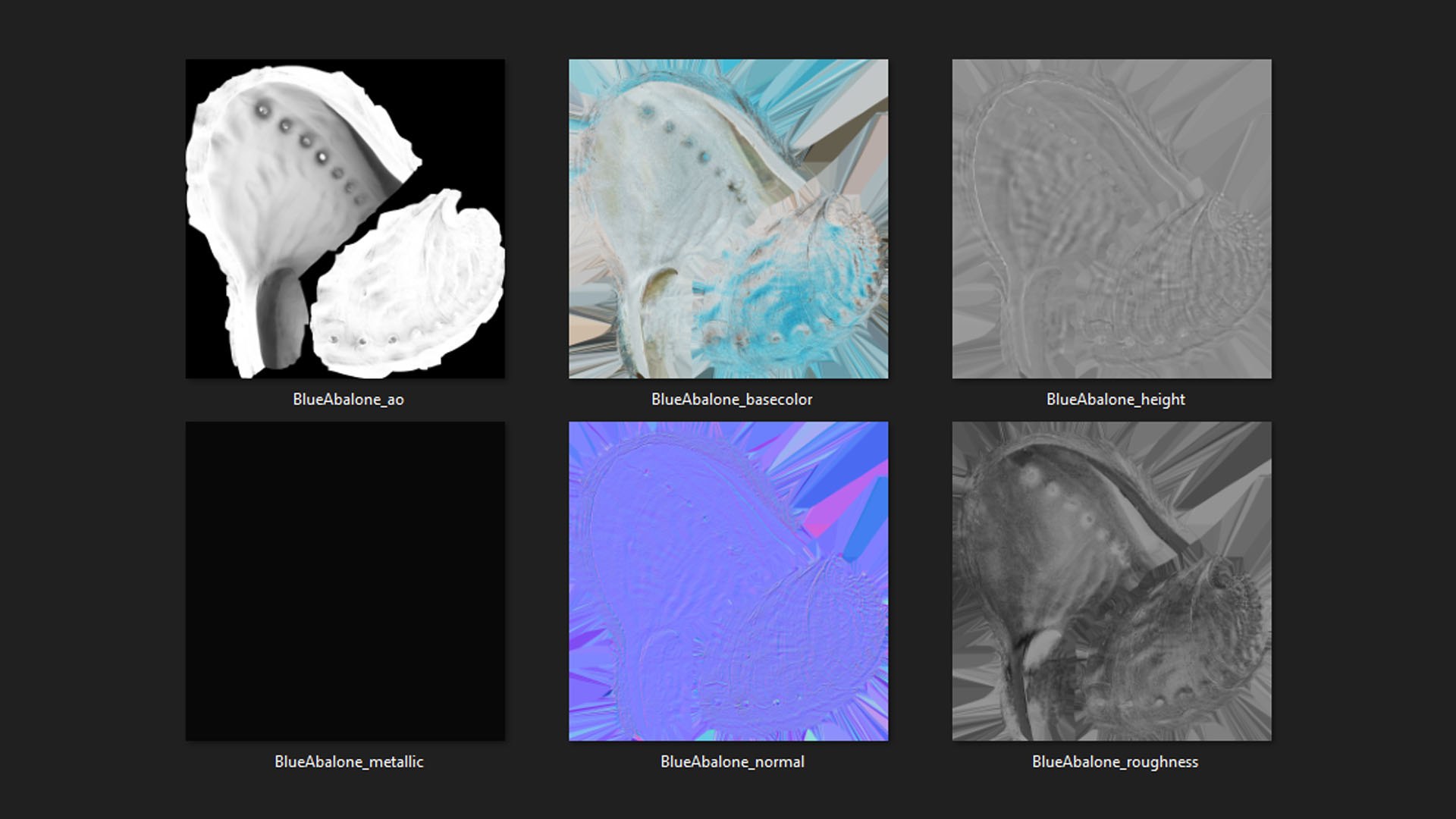 3D Blue Abalone Shell - TurboSquid 2324007