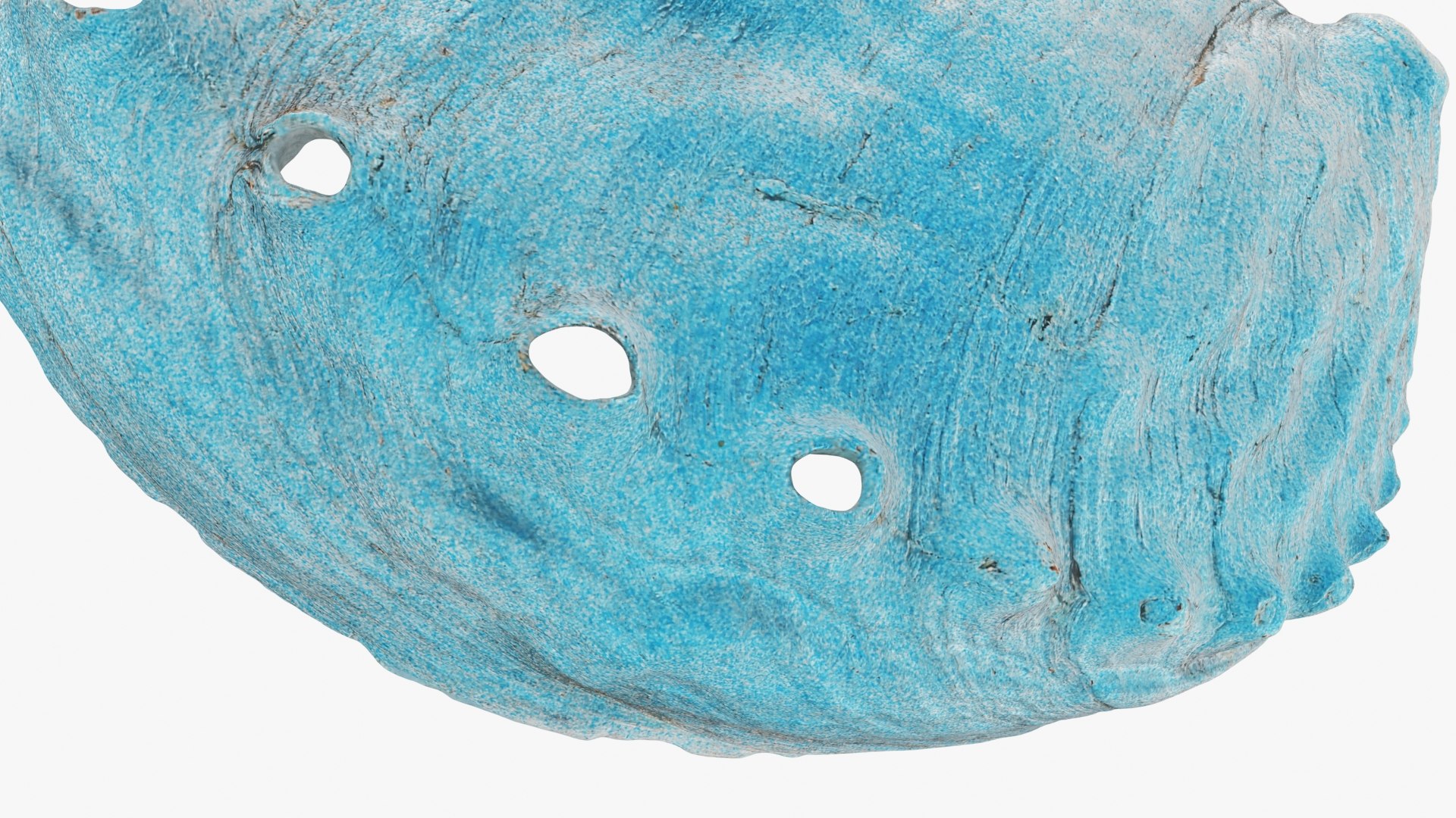 3D Blue Abalone Shell - TurboSquid 2324007