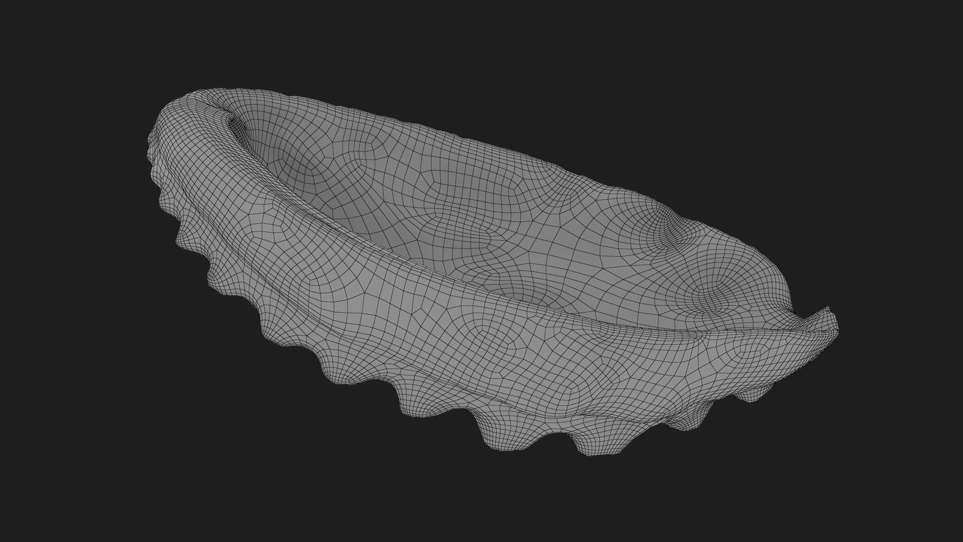 3D Blue Abalone Shell - TurboSquid 2324007