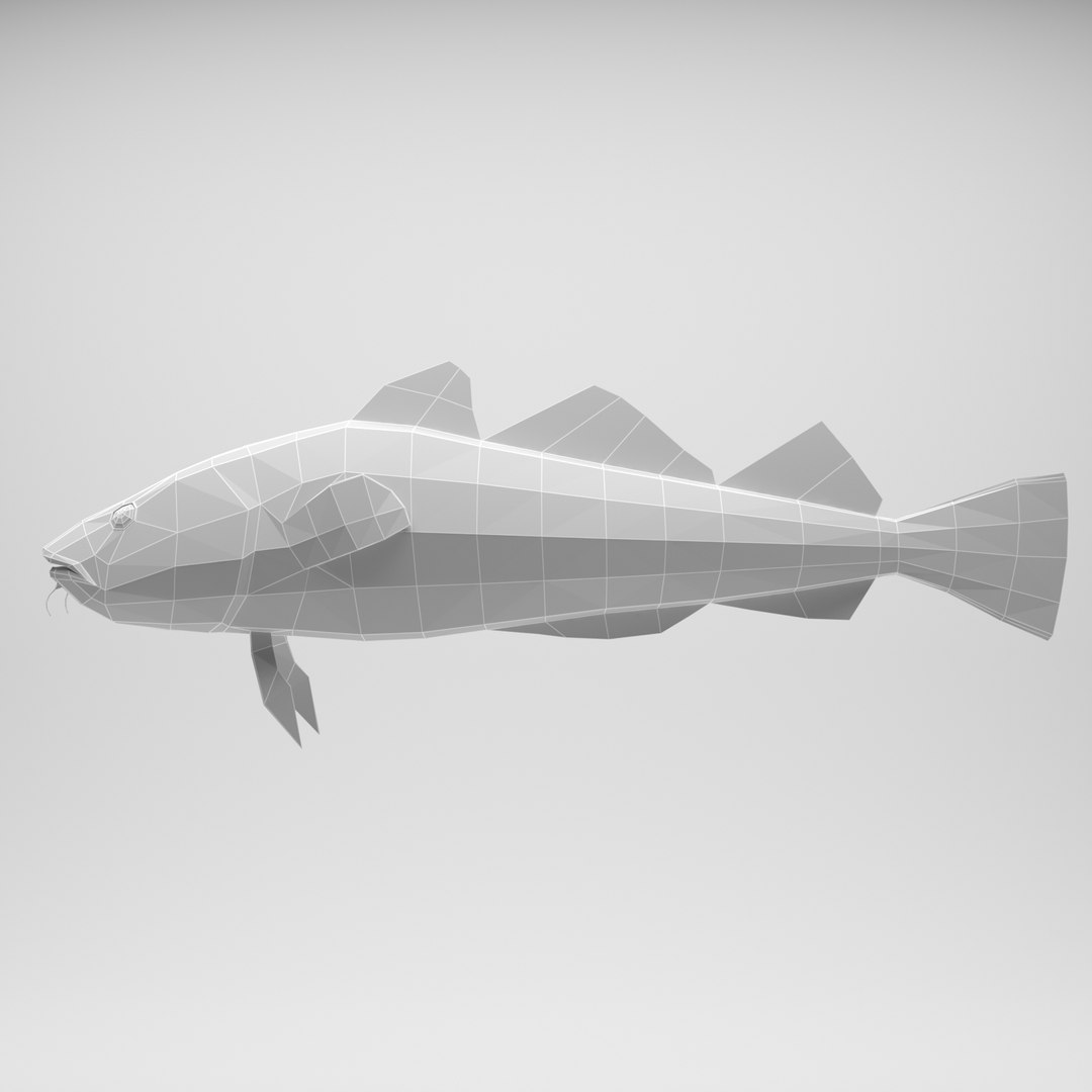 Cod Fish 3D Model - TurboSquid 1299408