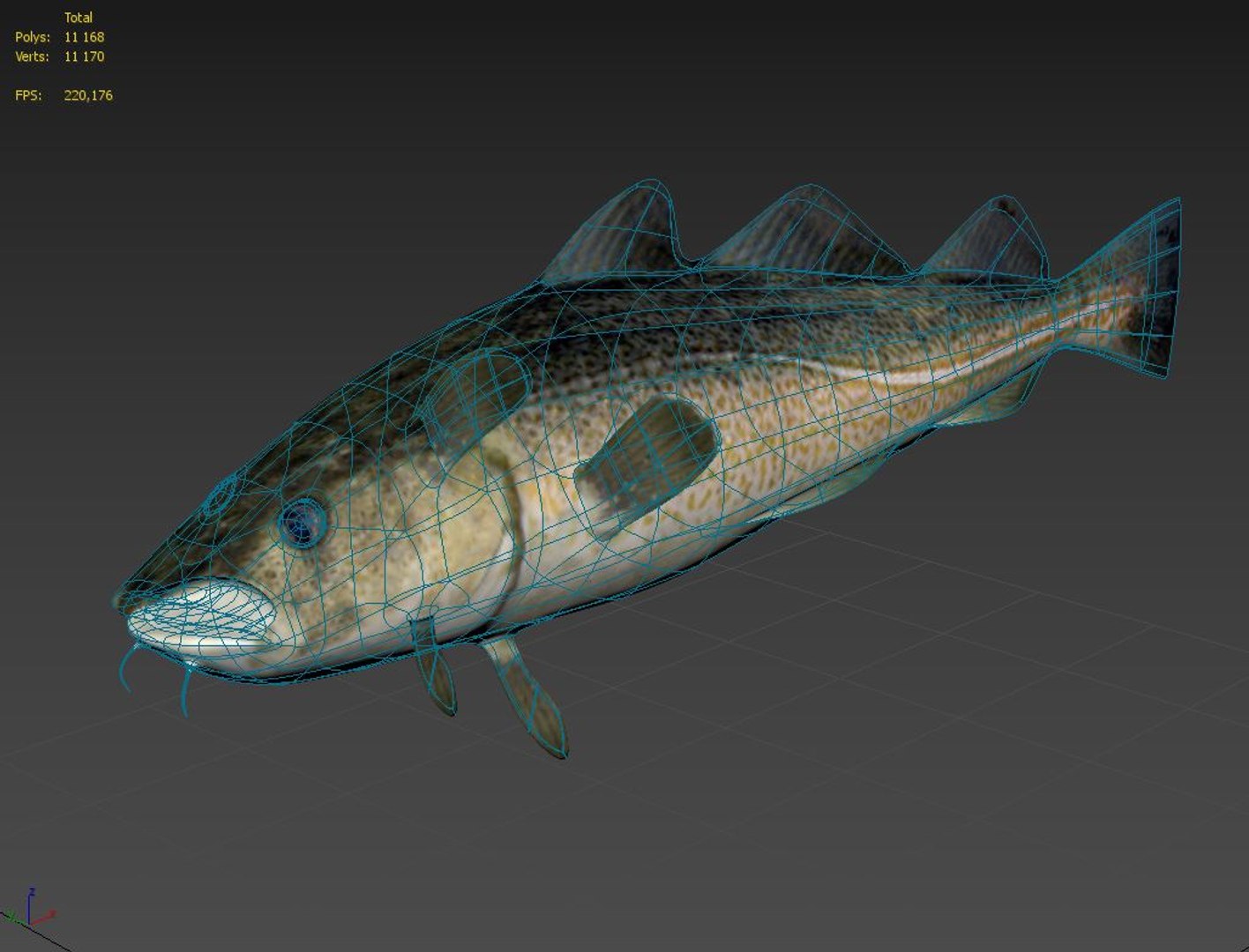 Cod Fish 3D Model - TurboSquid 1299408