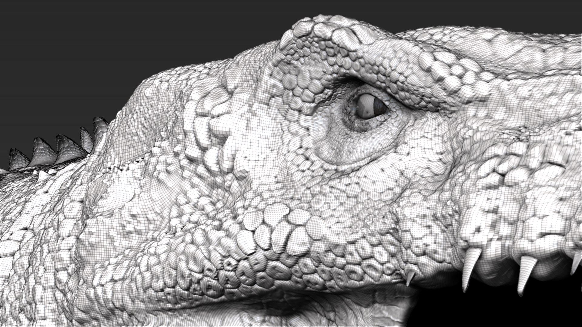 Mosasaurus Sculpt Project 3D Model - TurboSquid 1785027