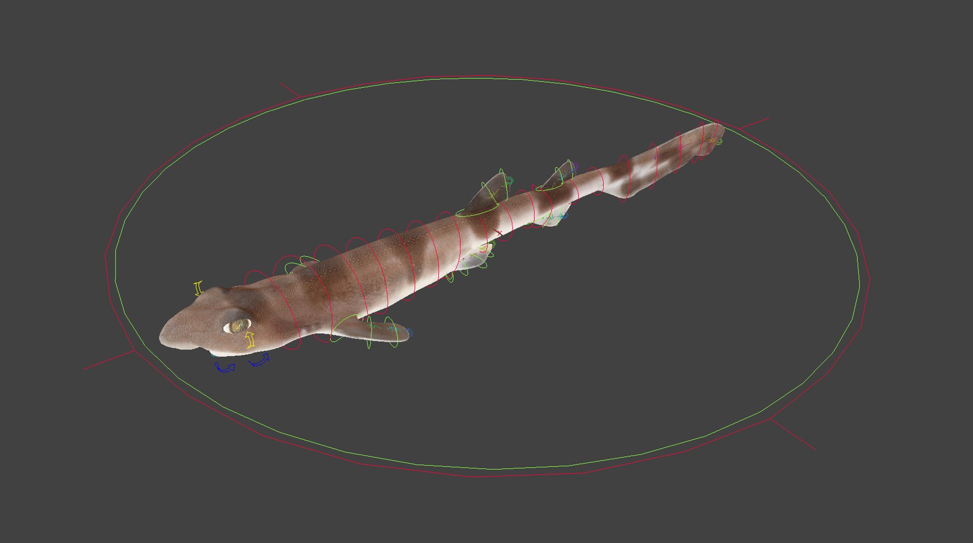 Blotchy Swell Shark 3D Model - TurboSquid 2419270