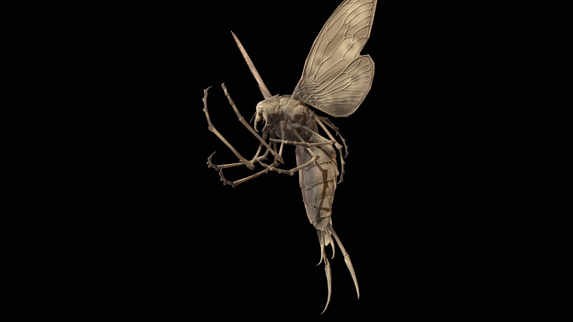 3D Model FlyingBug2 A1 - TurboSquid 2212102