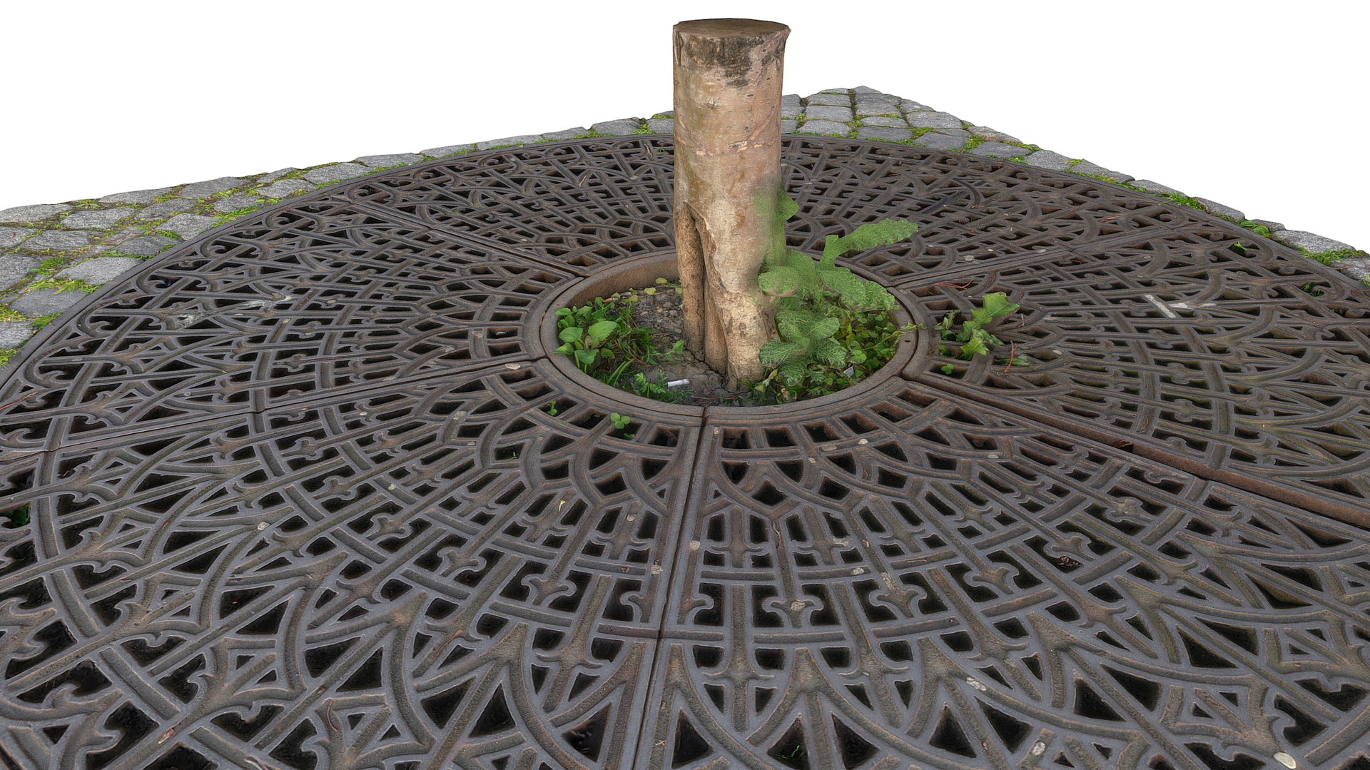 3D Round metal tree grille grate guard - TurboSquid 1760238