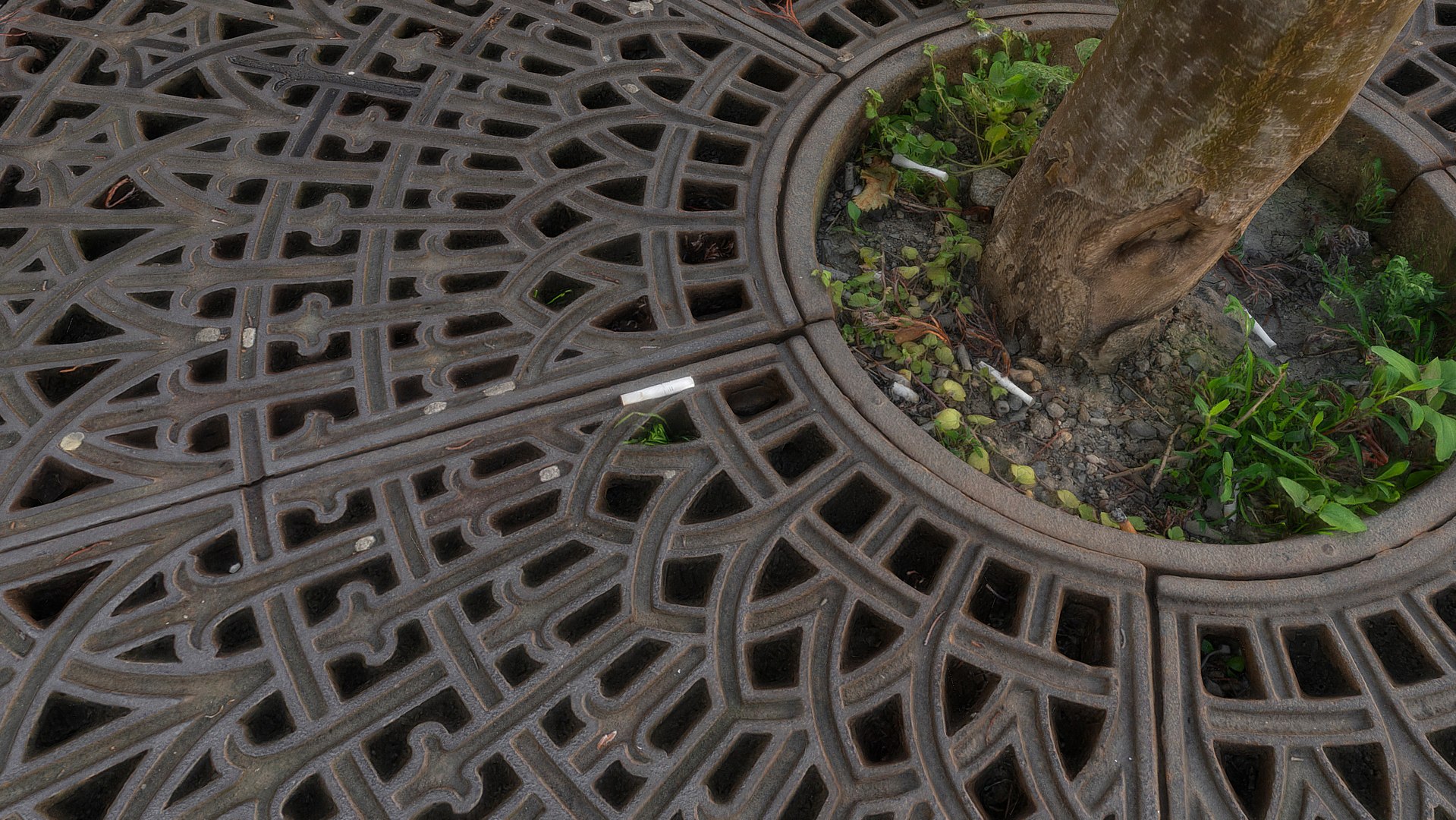 3D Round metal tree grille grate guard - TurboSquid 1760238