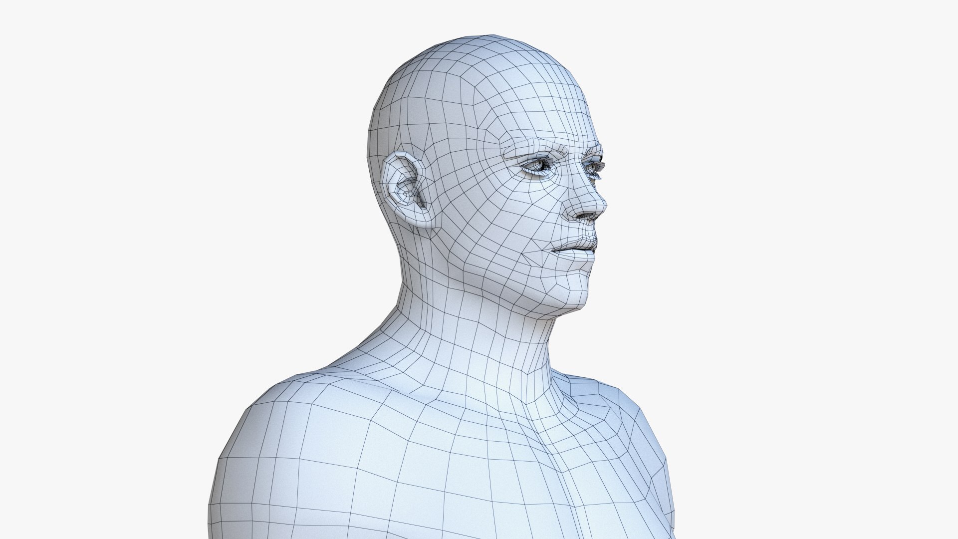 3D human body polys model - TurboSquid 1521380