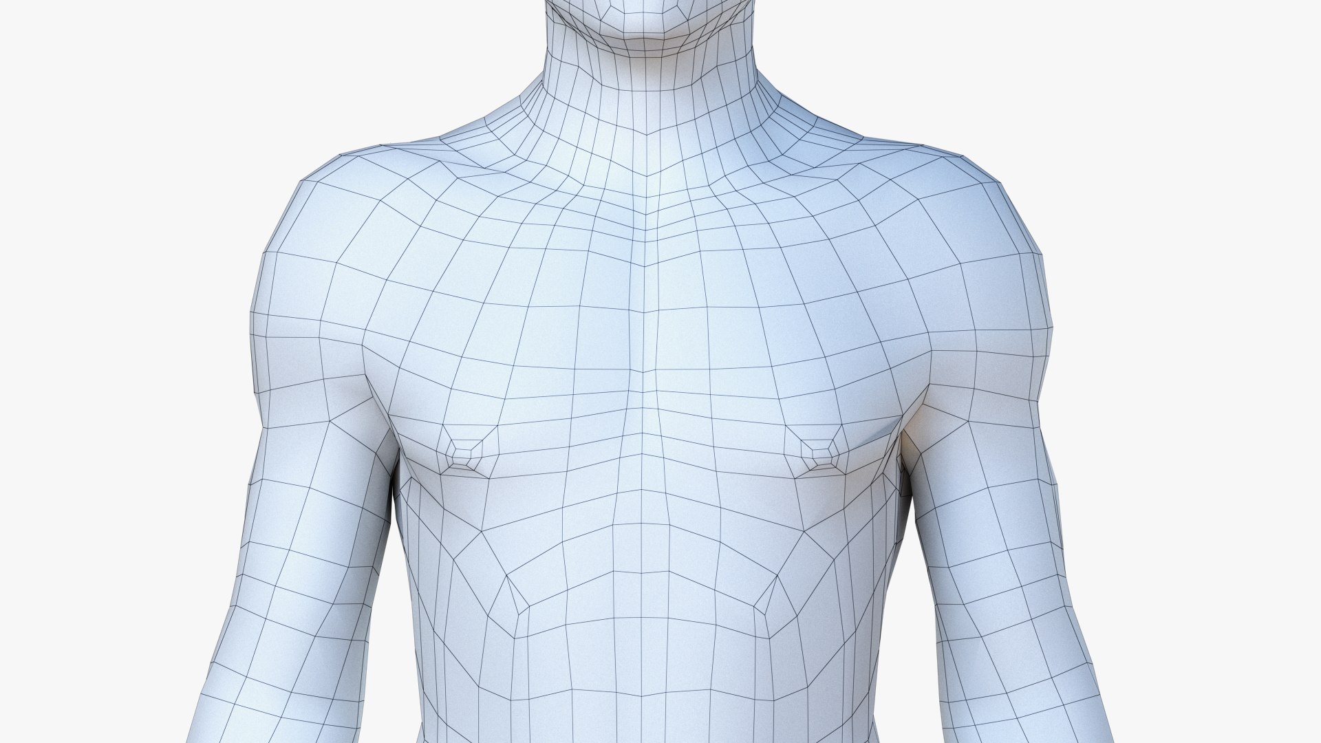 3D human body polys model - TurboSquid 1521380