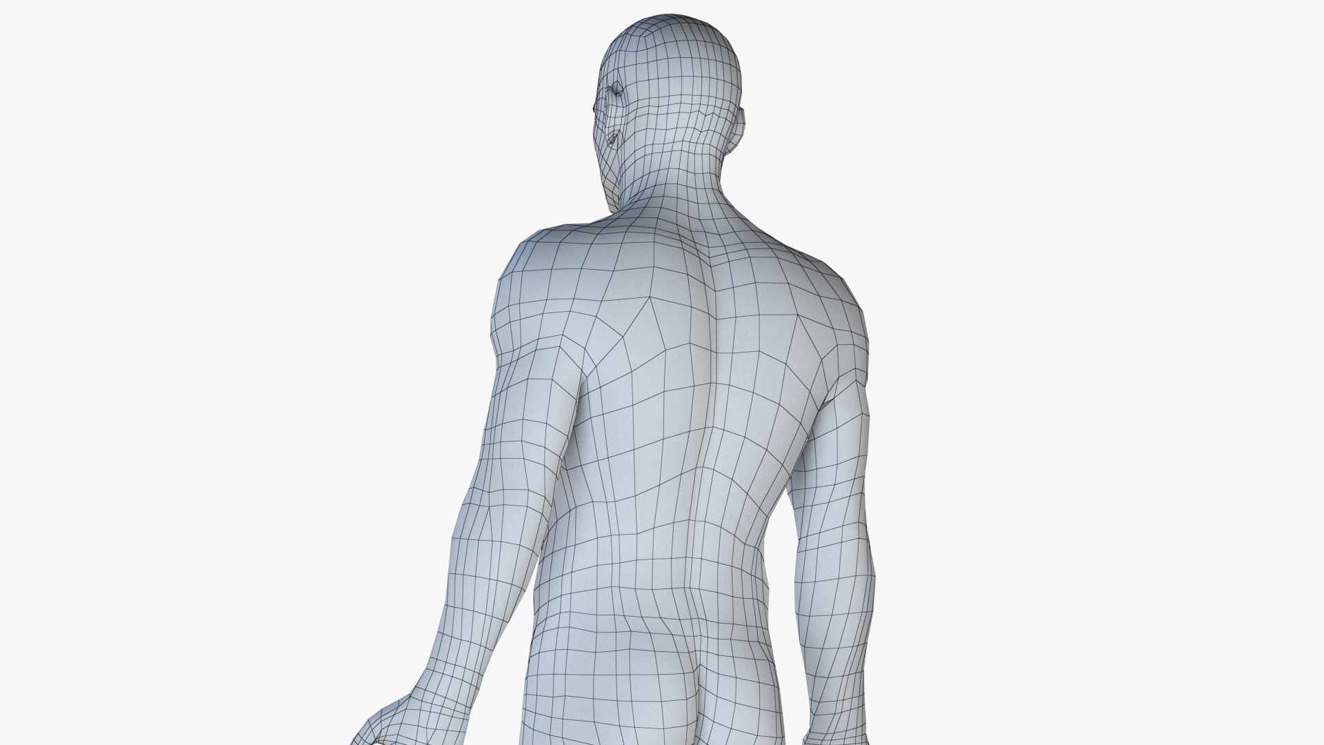 3D human body polys model - TurboSquid 1521380