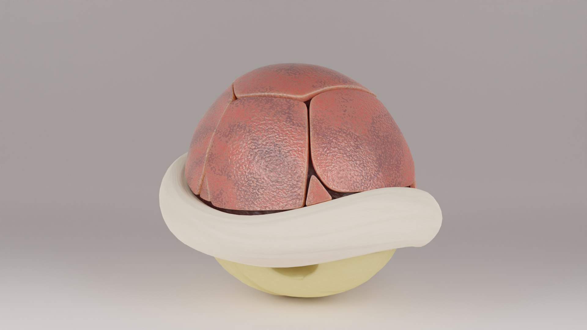 Blue Shell: Mario Kart 3D Model - TurboSquid 2066268