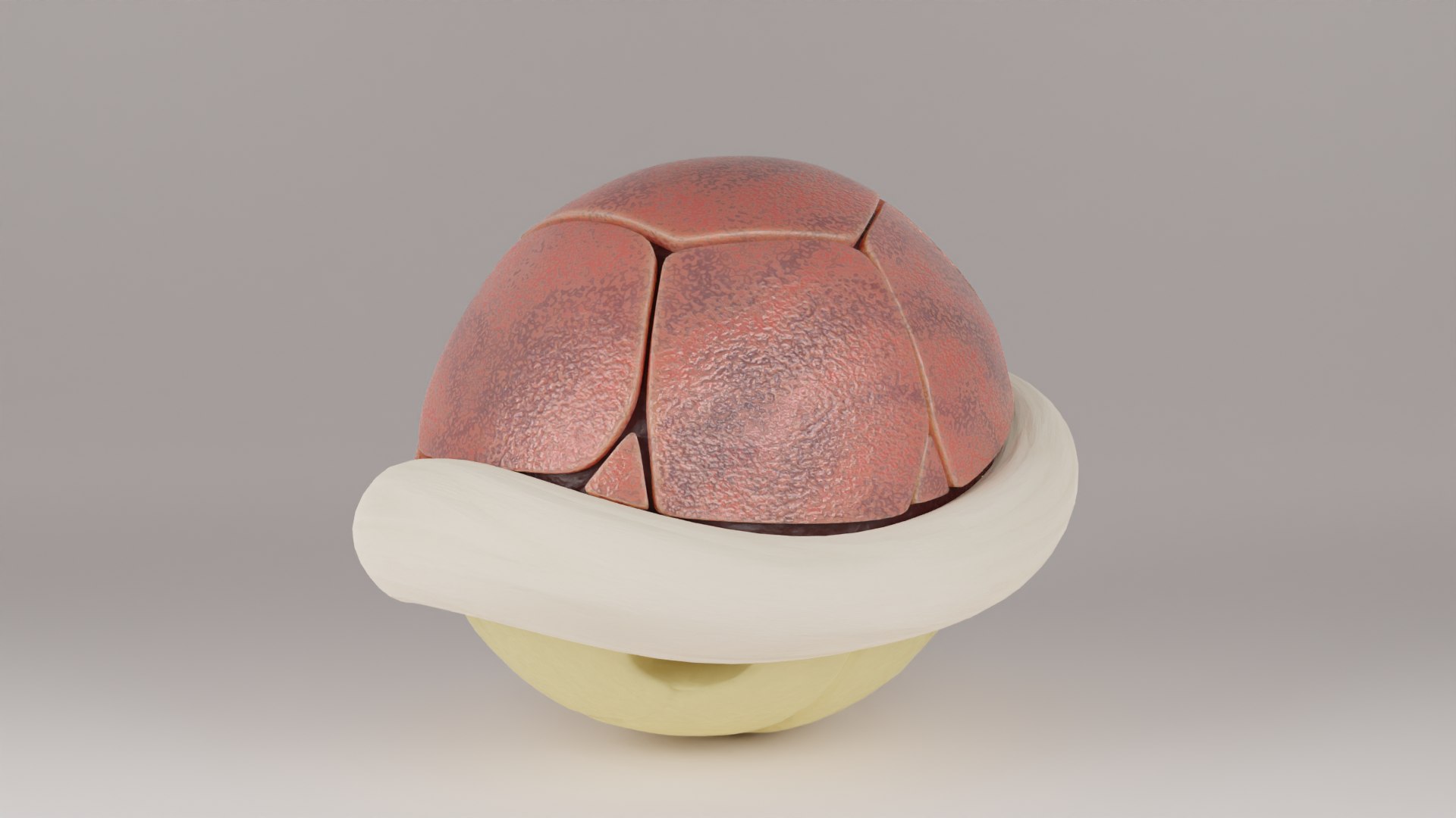 Blue Shell: Mario Kart 3D Model - TurboSquid 2066268