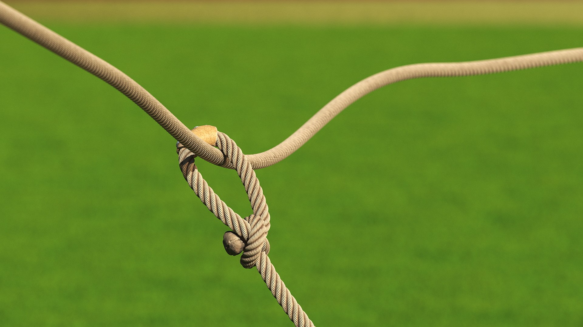 Lasso Ropes Collection 3D - TurboSquid 2174278