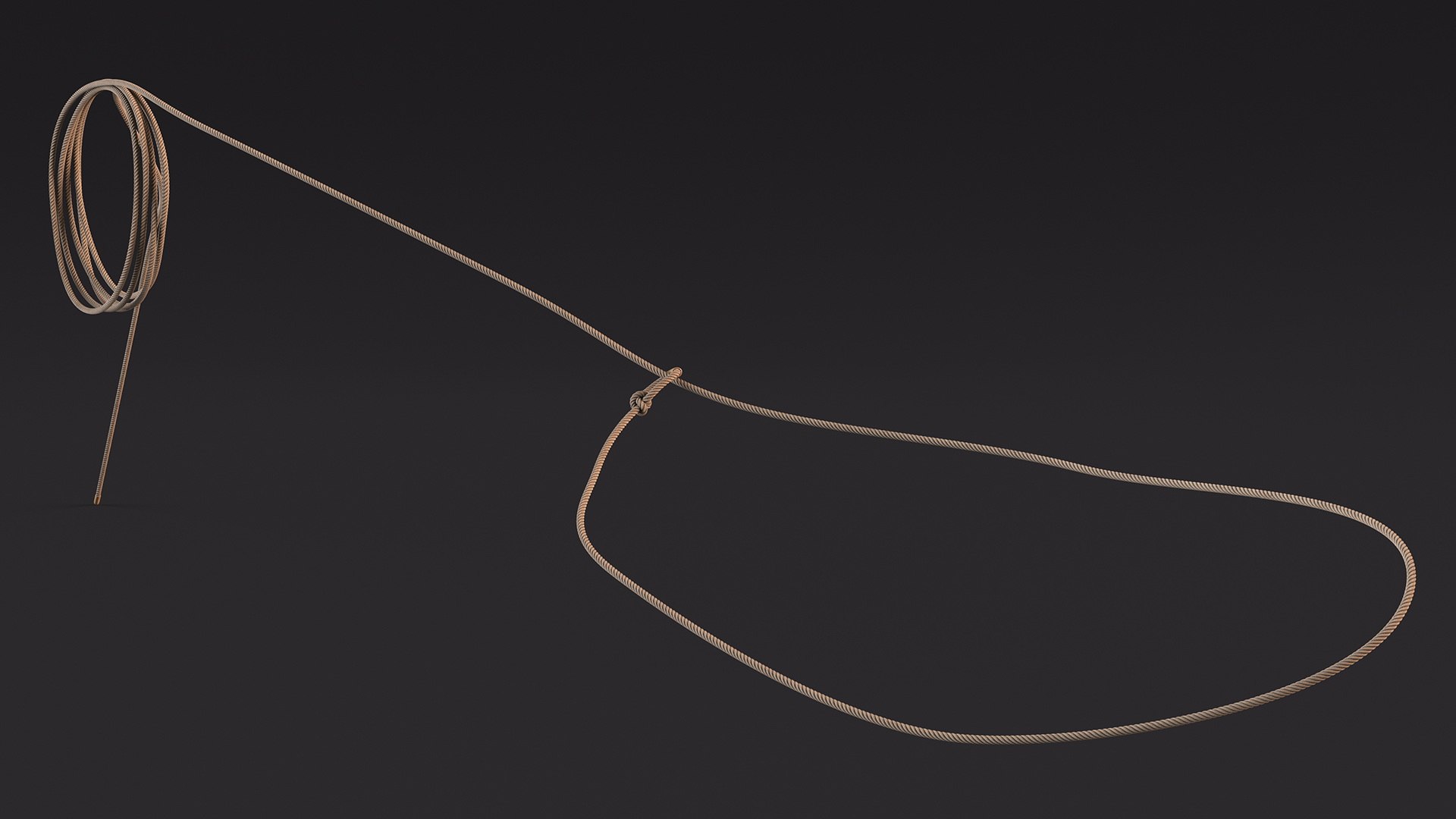 Lasso Ropes Collection 3D - TurboSquid 2174278