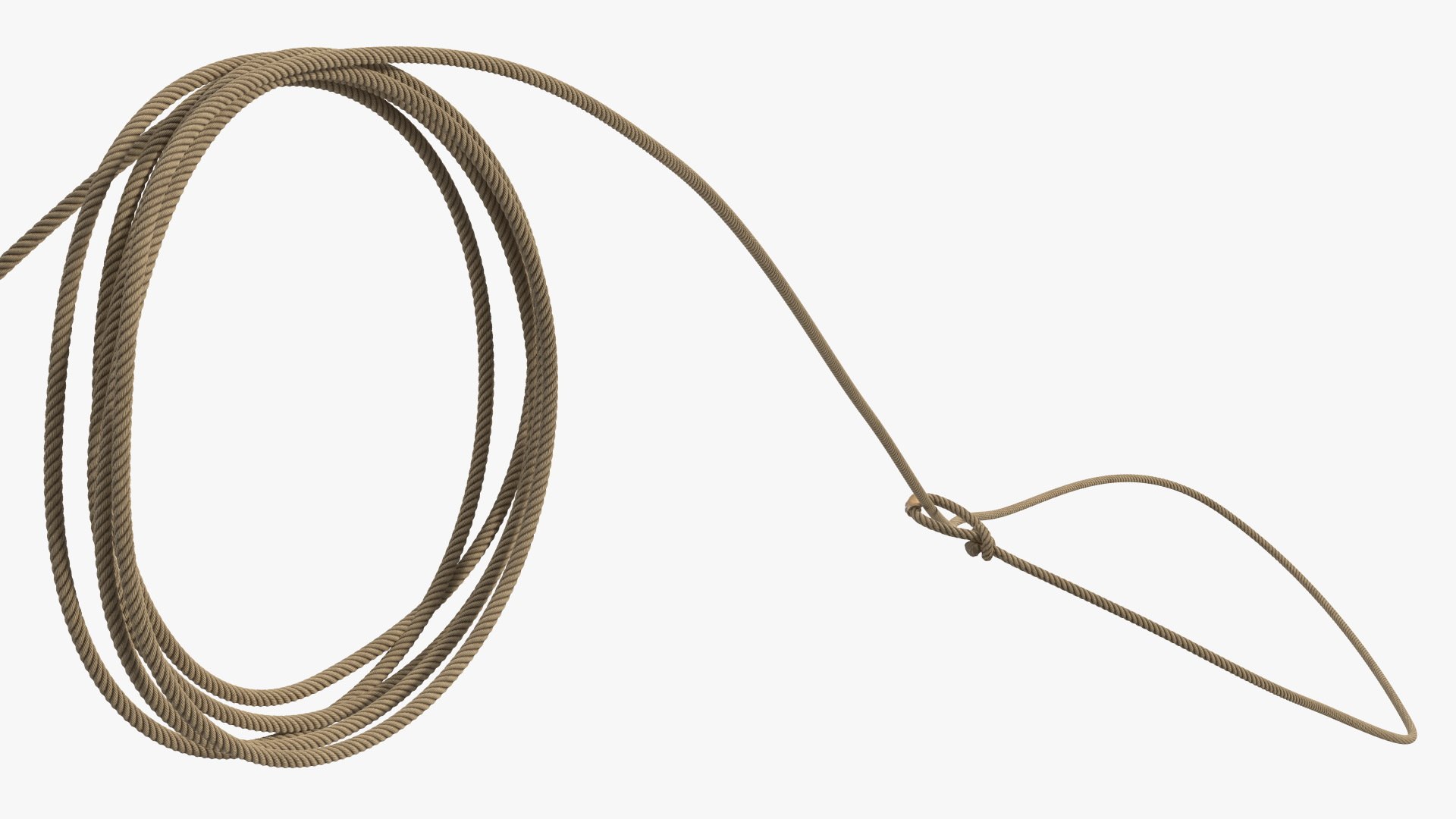 Lasso Ropes Collection 3D - TurboSquid 2174278