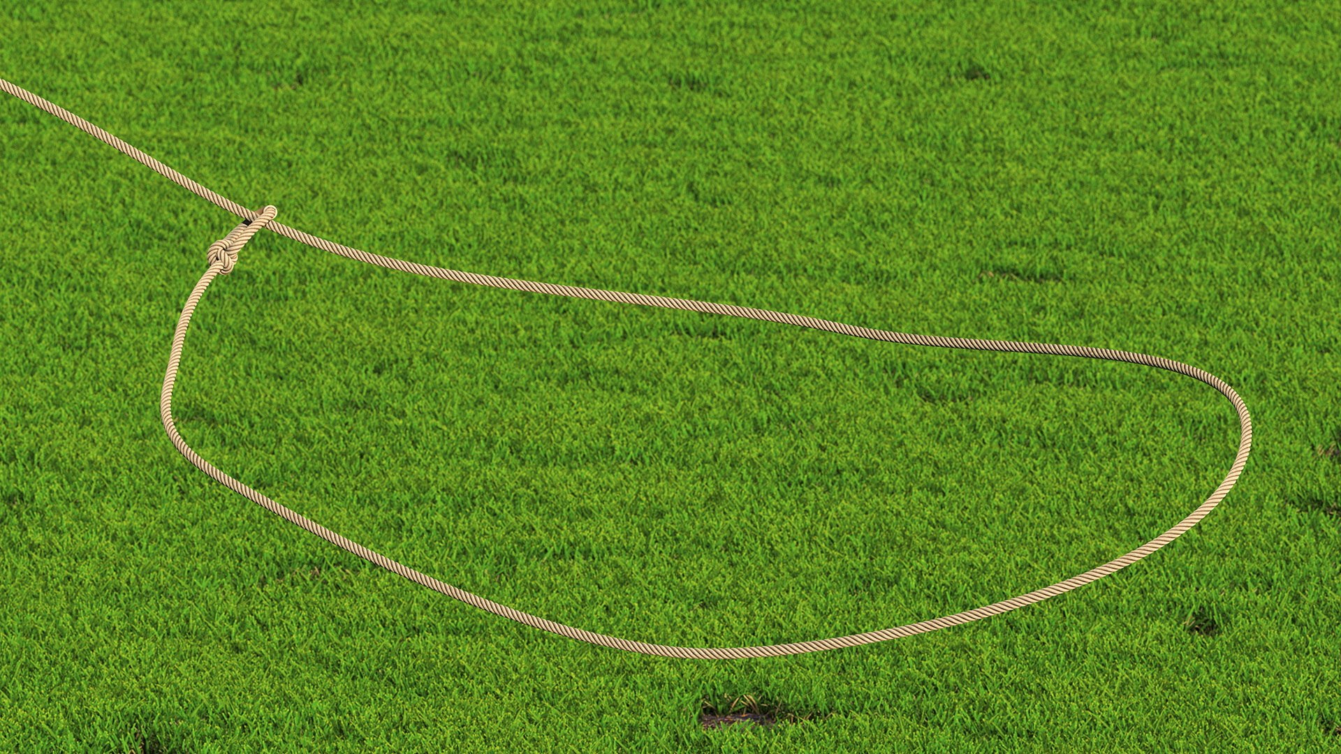 Lasso Ropes Collection 3D - TurboSquid 2174278