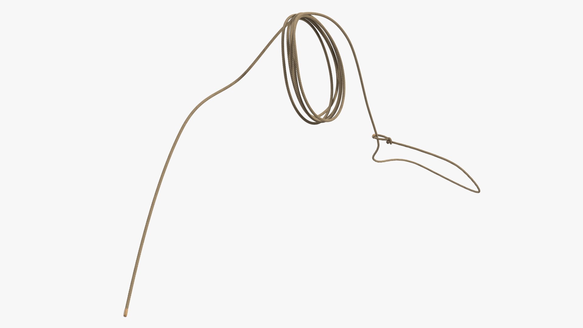 Lasso Ropes Collection 3D - TurboSquid 2174278