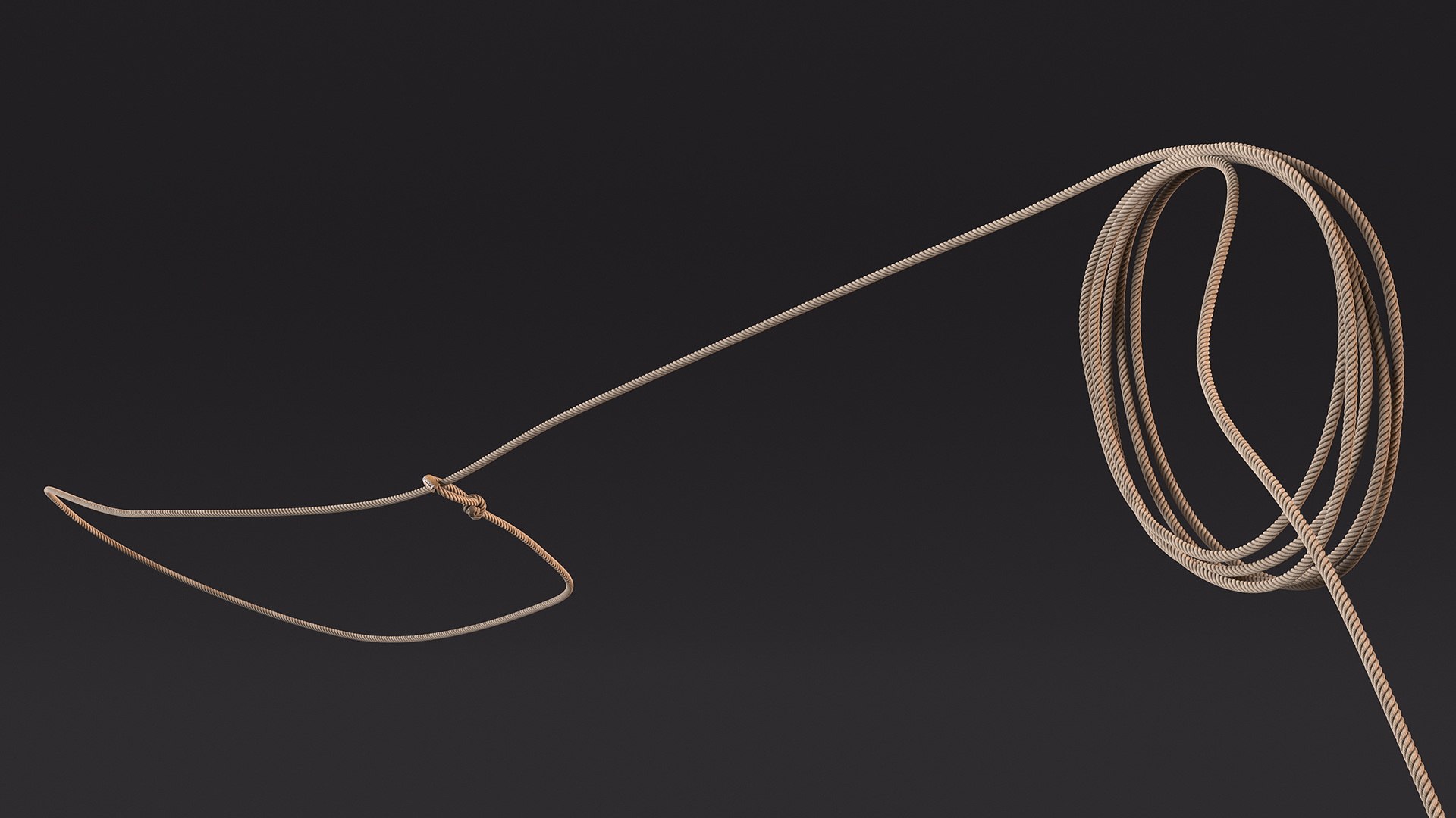 Lasso Ropes Collection 3D - TurboSquid 2174278