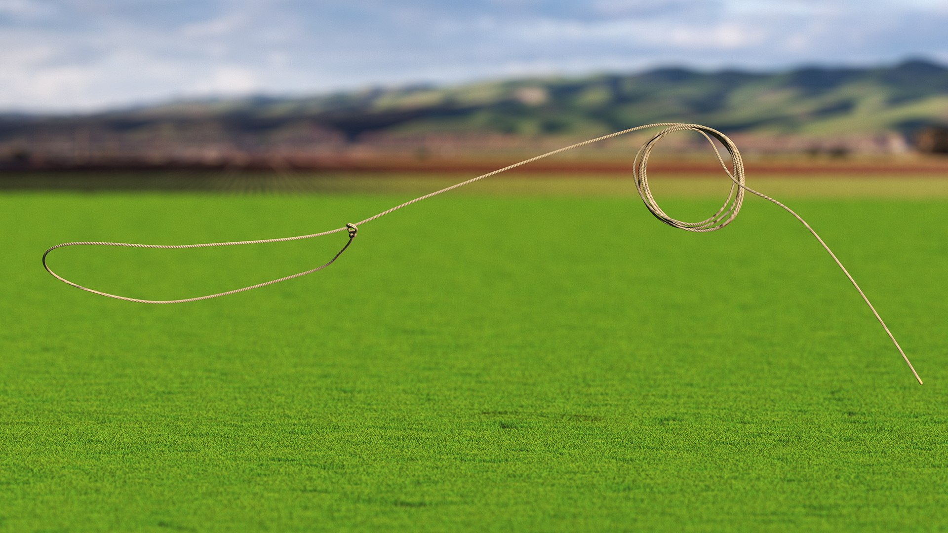 Lasso Ropes Collection 3D - TurboSquid 2174278