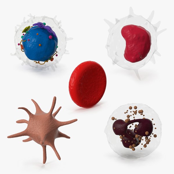 3D Platelets Models | TurboSquid