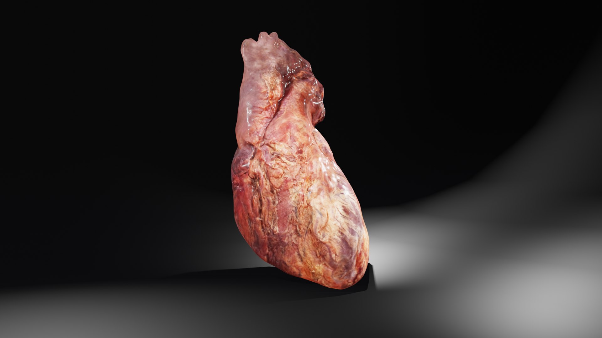 Real Human Heart 3D Model - TurboSquid 1820438