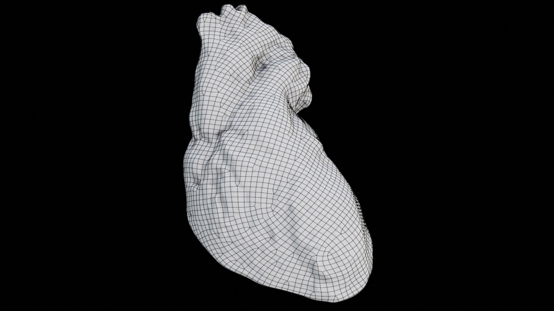 Real Human Heart 3D Model - TurboSquid 1820438