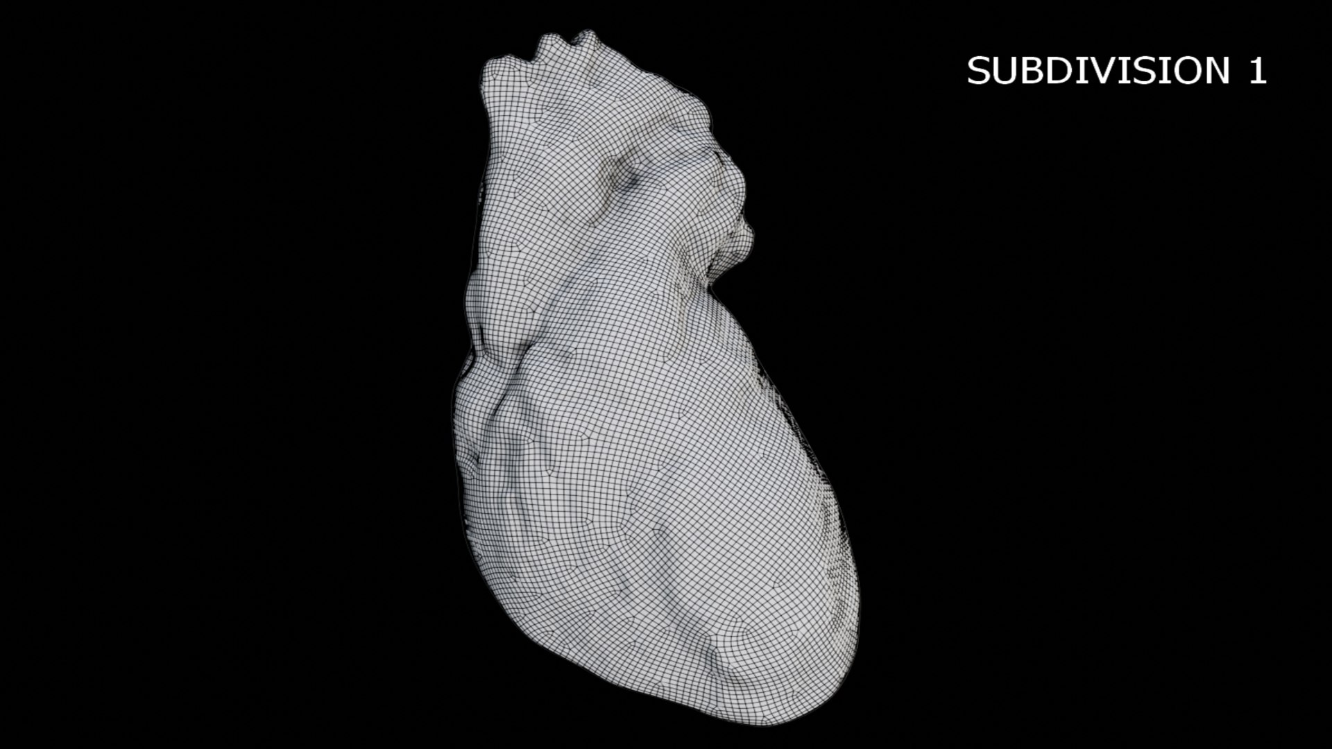 Real Human Heart 3D Model - TurboSquid 1820438