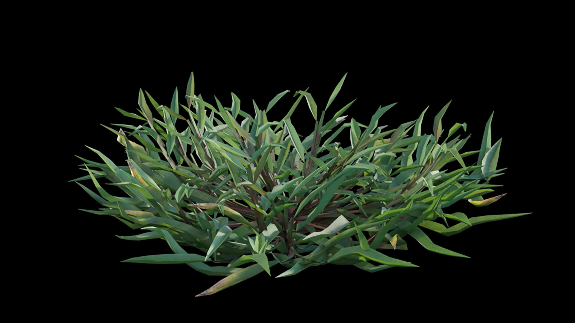 Eremochloa Ophiuroides Set 03 Model Turbosquid 2126582