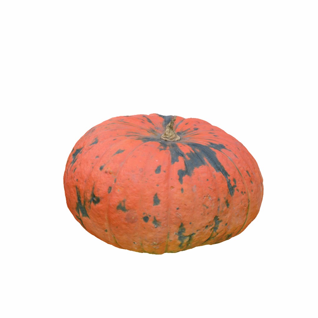 3D scan pumpkin - TurboSquid 1227235