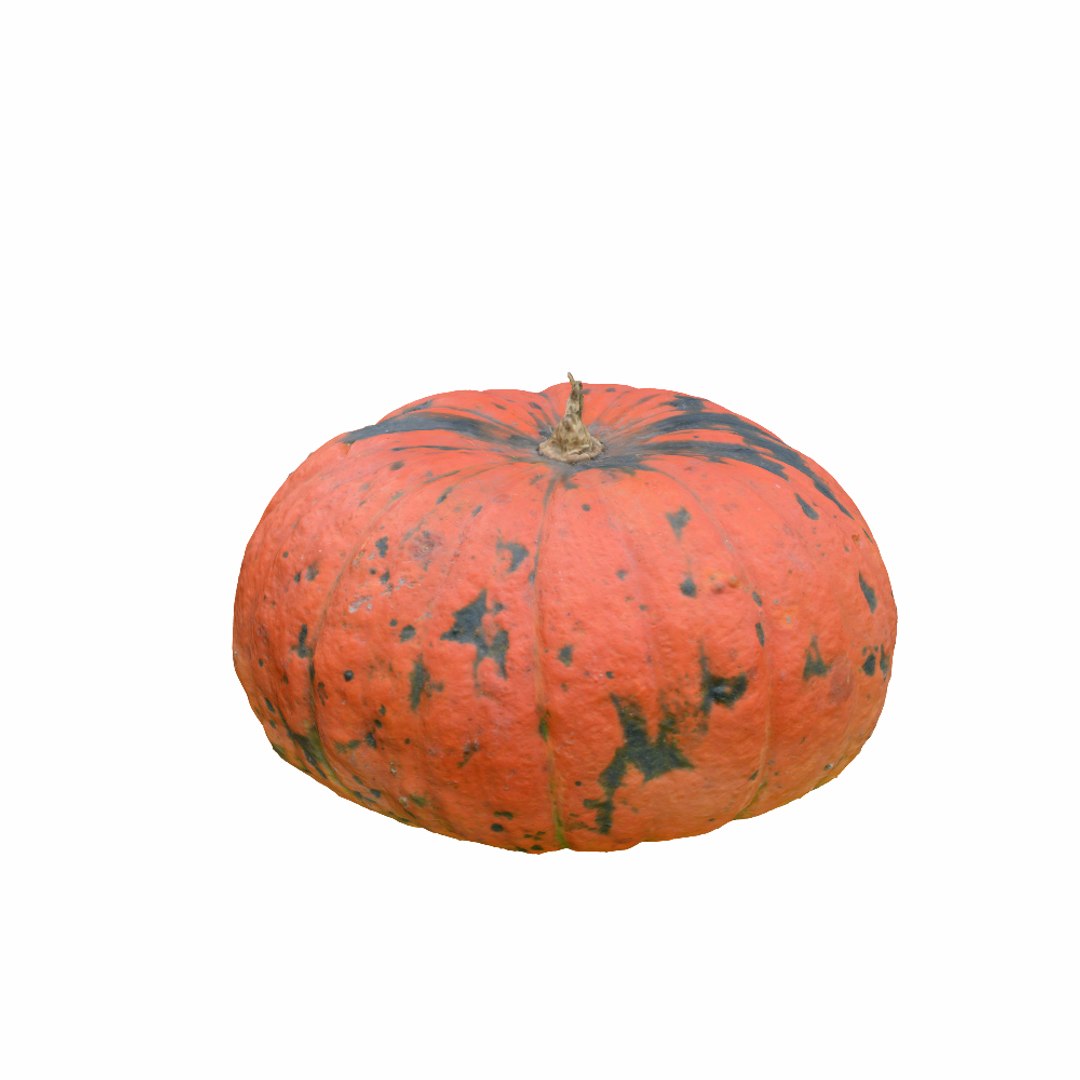 3D scan pumpkin - TurboSquid 1227235