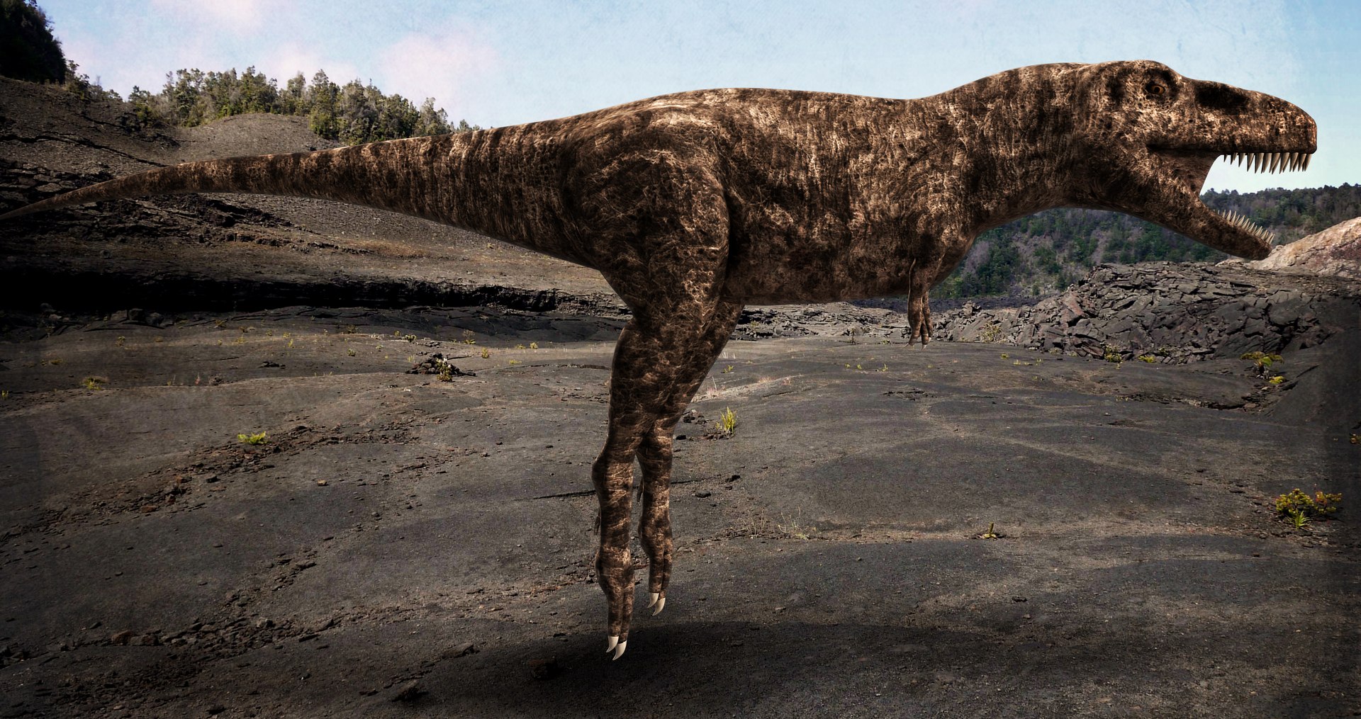 Realistic Tyrannosaur 3d Obj