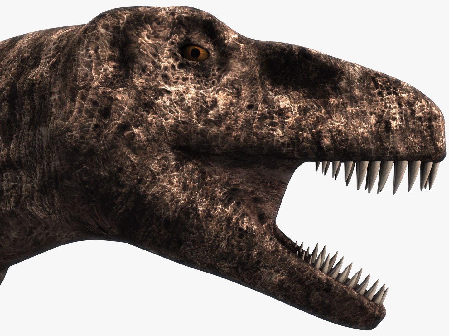 Realistic T Rex