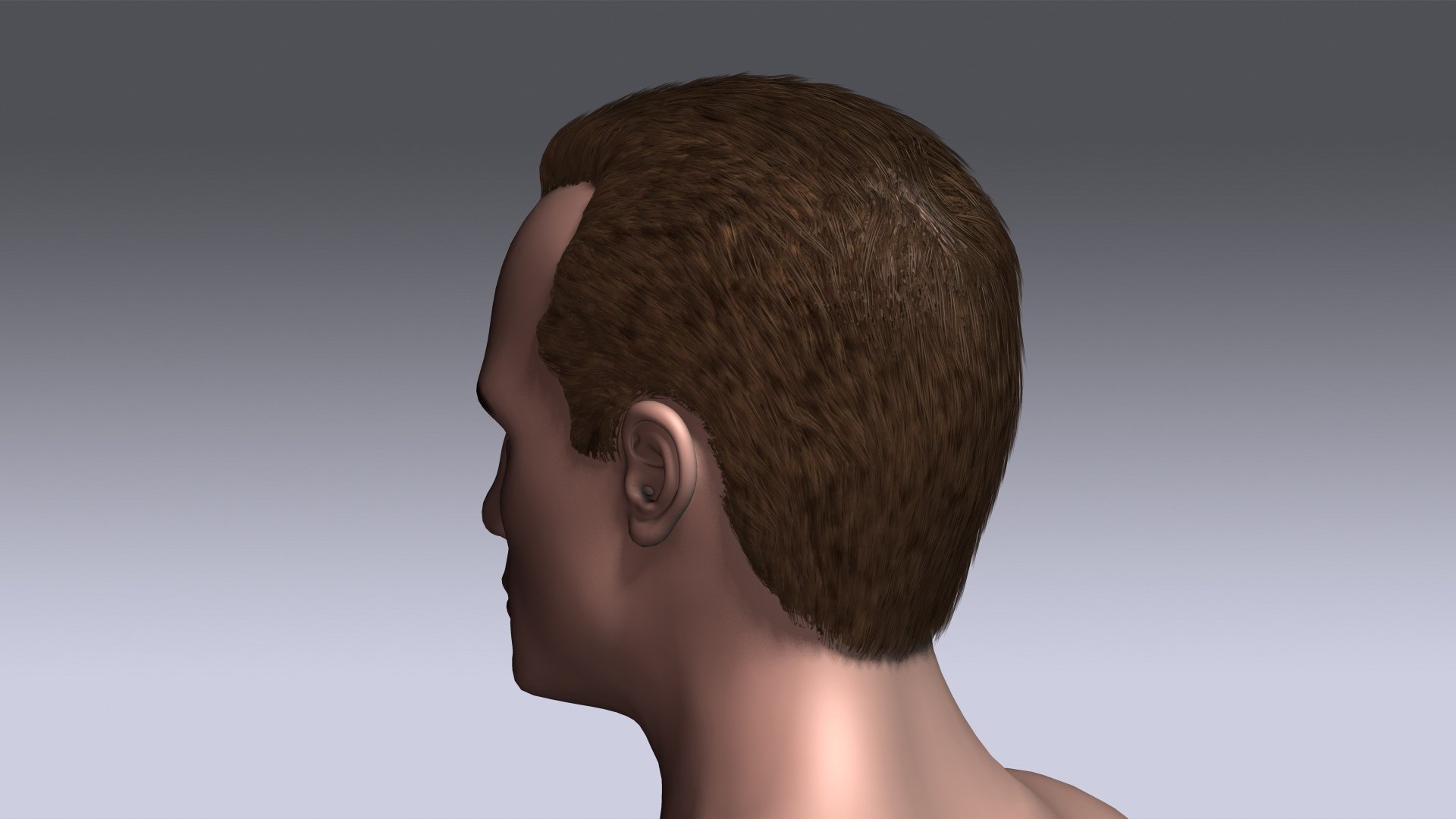 Hairstyle 46 3D Model - TurboSquid 2214526