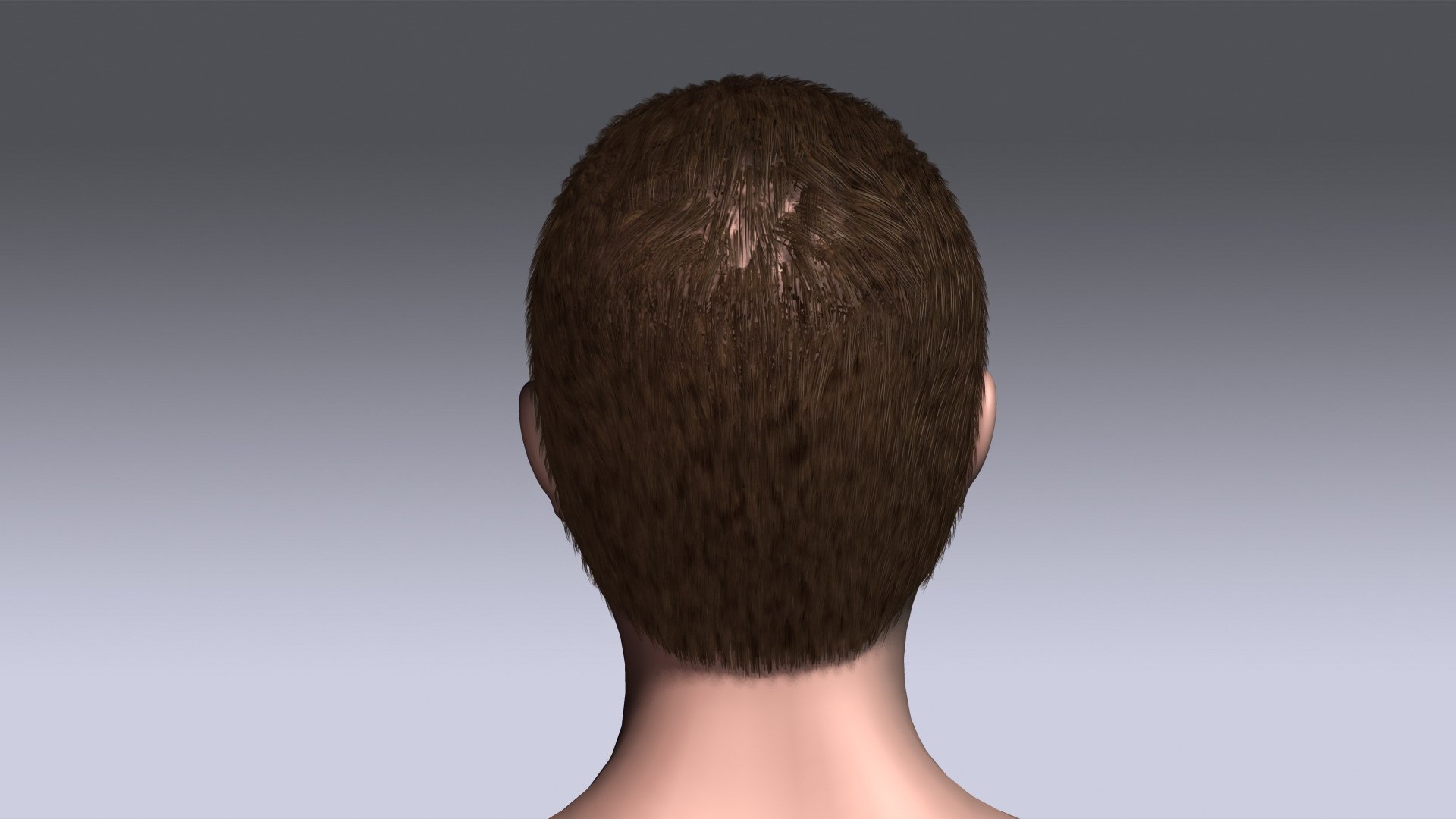 Hairstyle 46 3D Model - TurboSquid 2214526